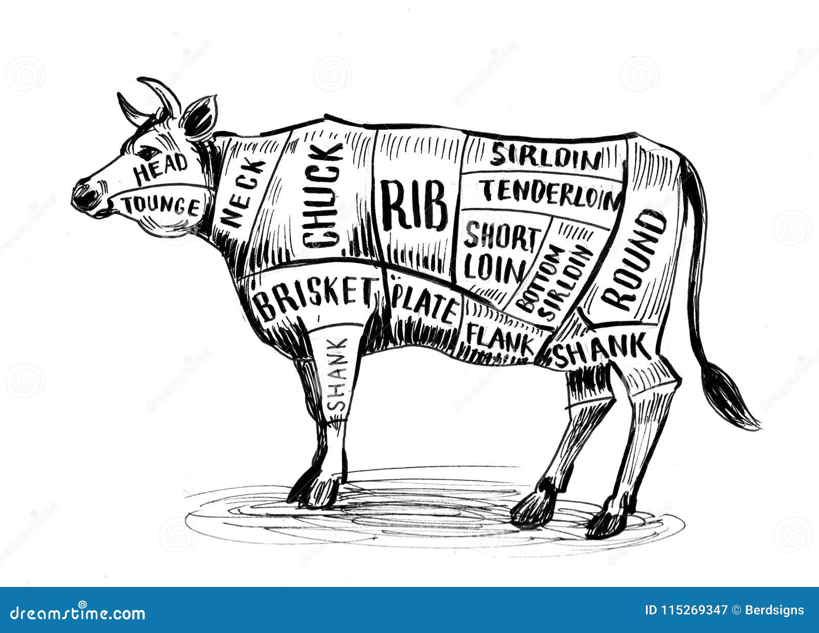 Butchers Guide Royalty-Free Cartoon | CartoonDealer.com #115269347 Butchers Guide Royalty-Free Cartoon | CartoonDealer.com #115269347