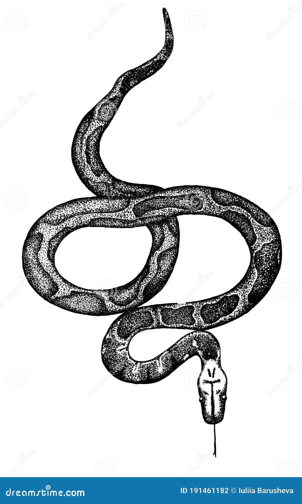 Ink Blood Python Stock Illustrations – 3 Ink Blood Python Stock ...