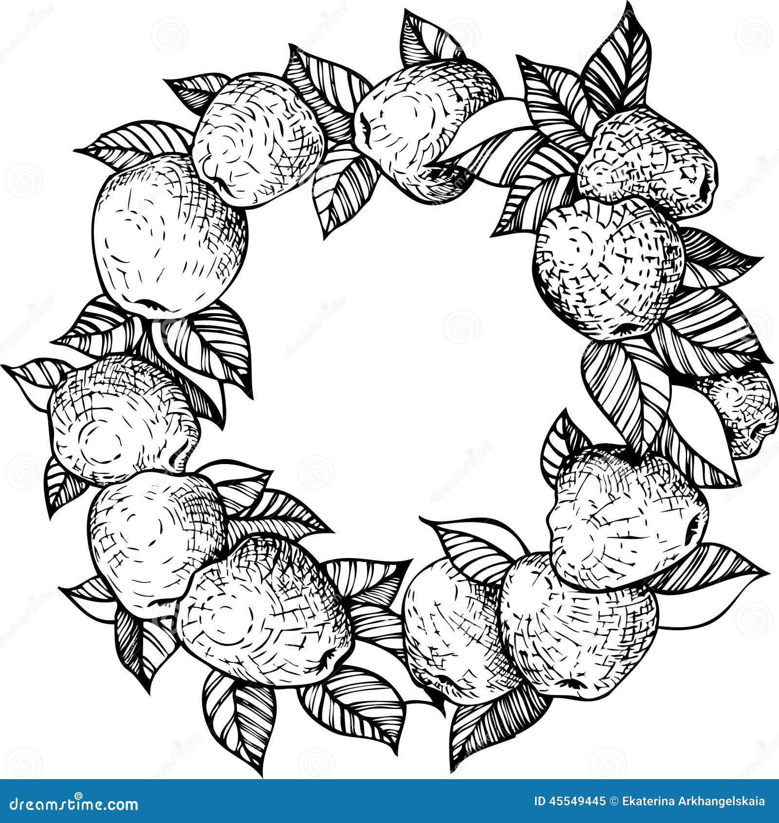 Ink drawing apple wreath stock vector. Illustration of autumn - 45549445