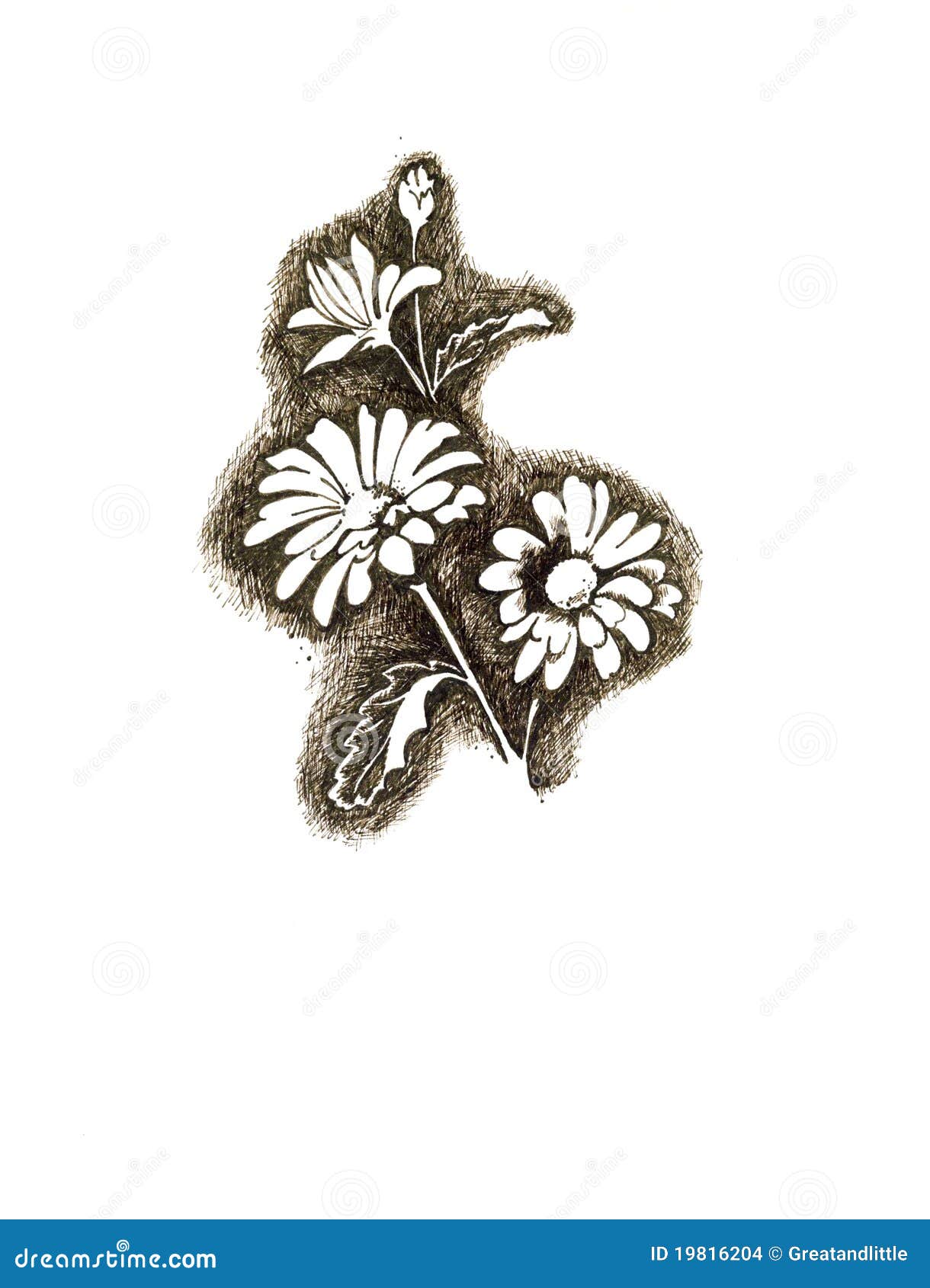 Ink drawing of daisies stock illustration. Illustration of petal - 19816204