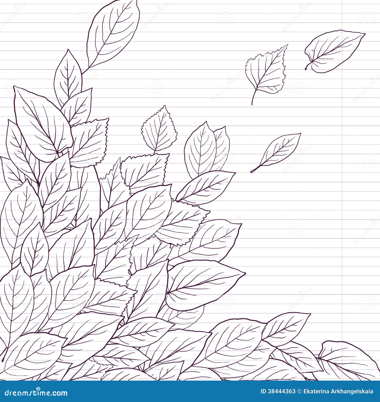 Ink Drawings Of Leaves