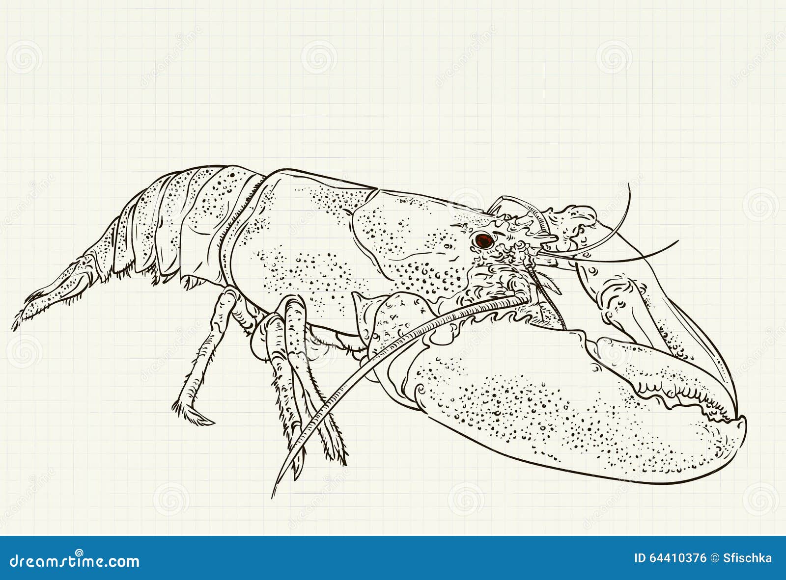 Ink Drawing on Notebook Sheet Lobster Stock Vector - Illustration of ...