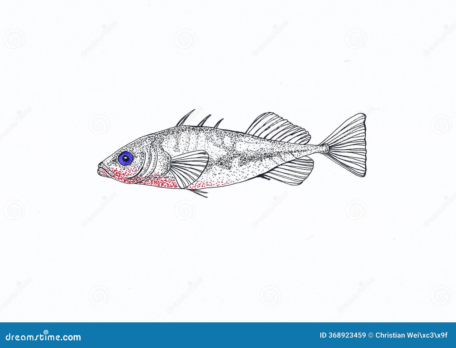 Three Spined Stickleback Illustration Cartoon Vector | CartoonDealer ...