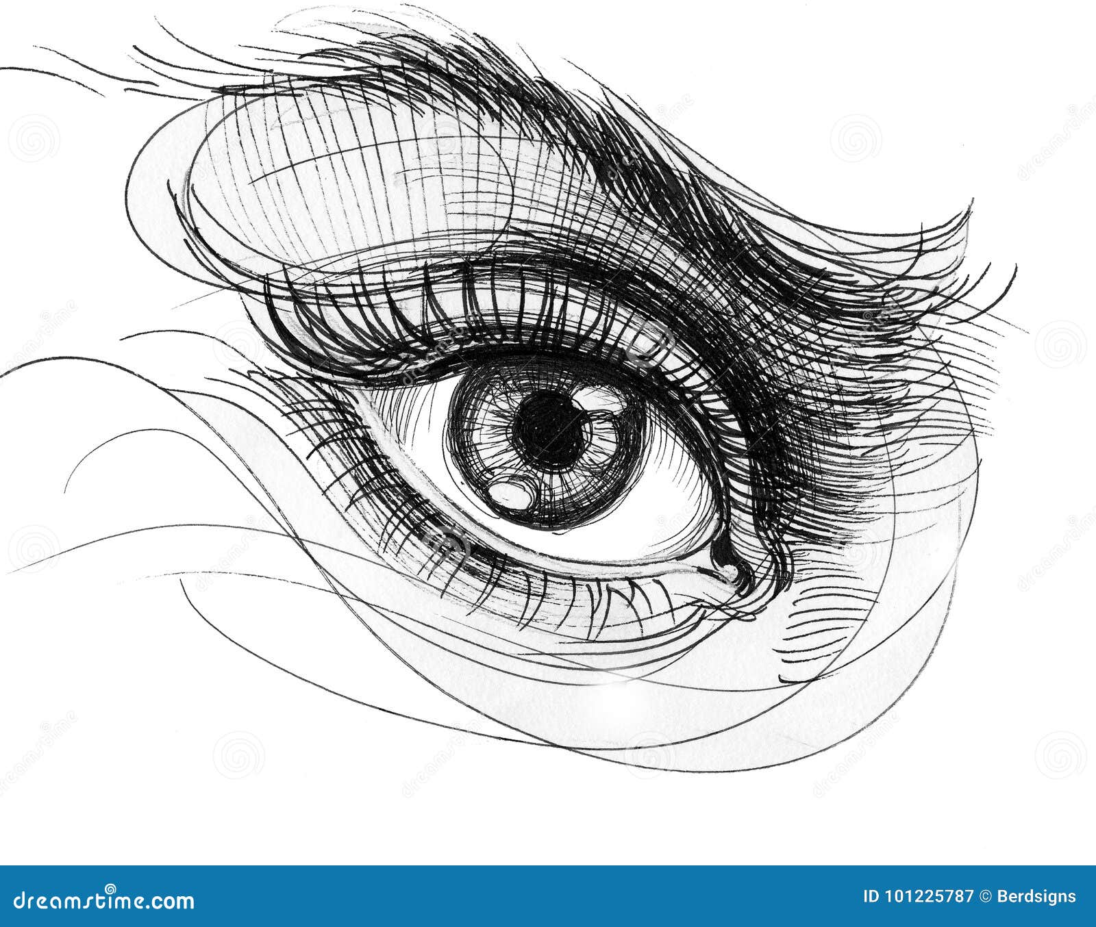 Ink eye stock illustration. Illustration of brow, line - 101225787