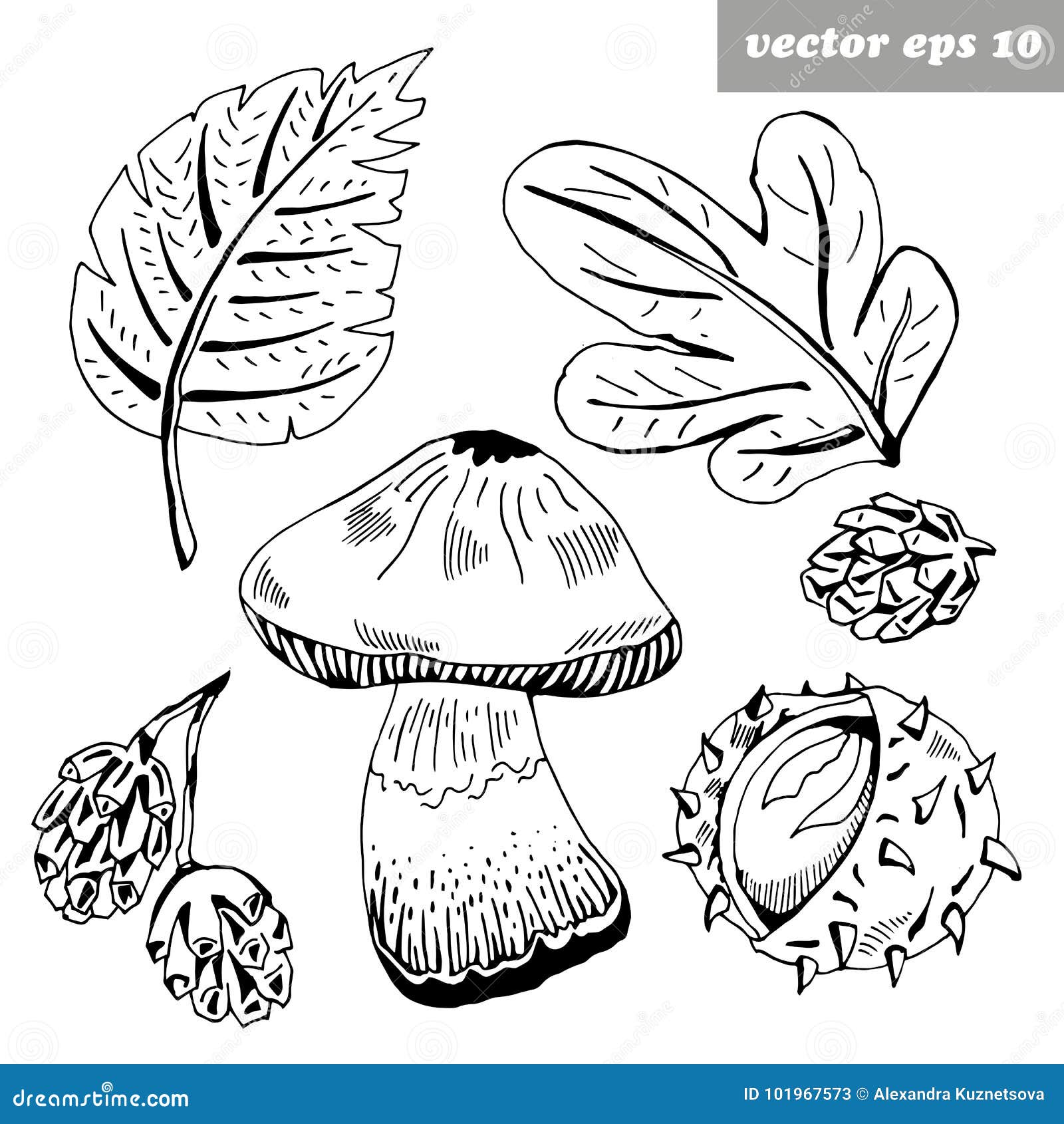 Ink fall items stock illustration. Illustration of ingredient - 101967573