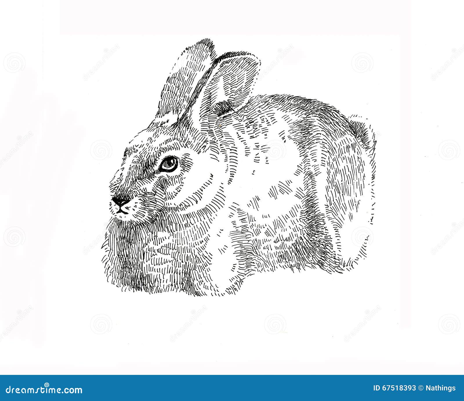 Ink Graphic Easter Bunny Rabbit Stock Illustration - Illustration of ...
