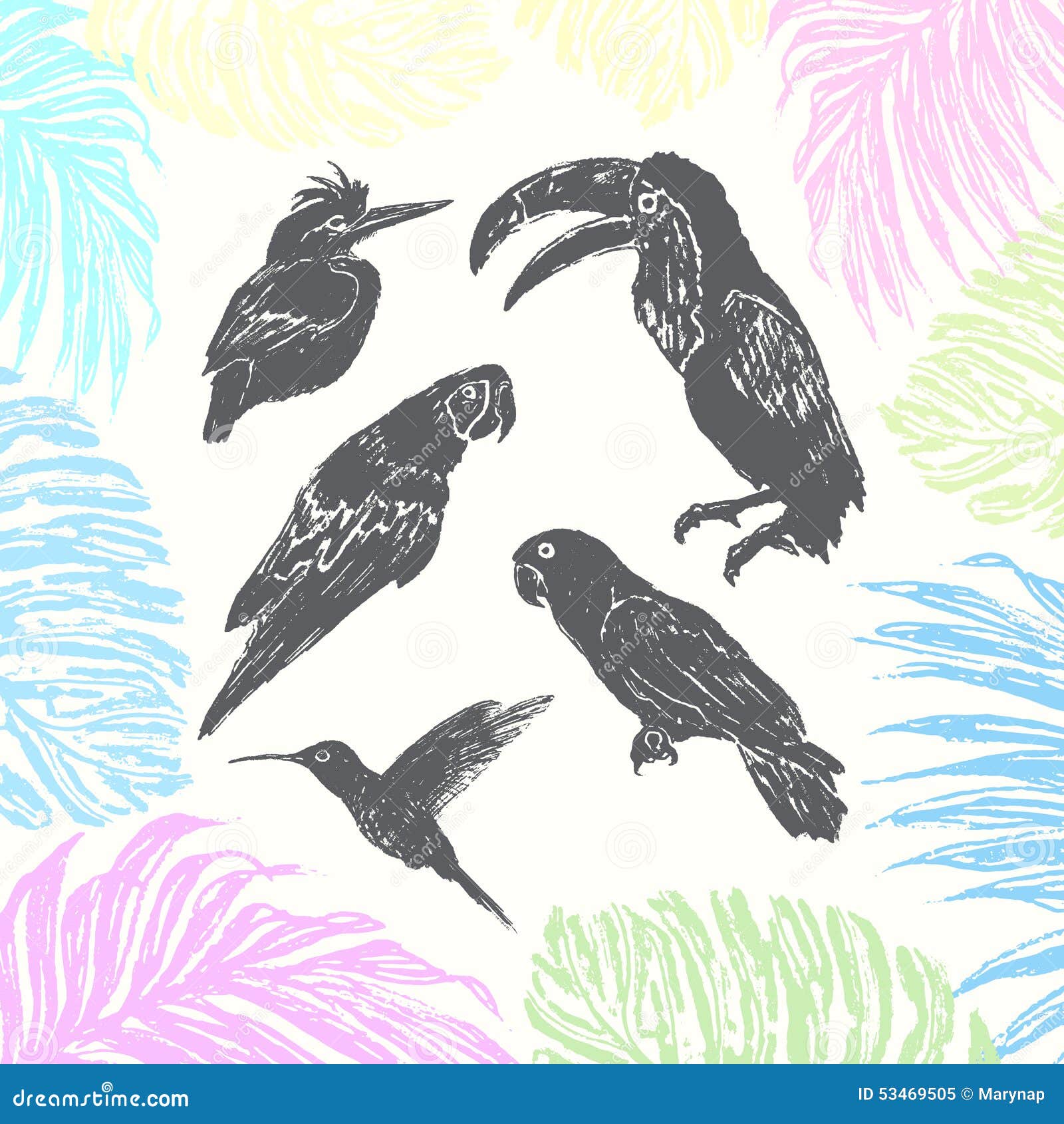 Ink hand drawn birds stock vector. Illustration of colorful - 53469505