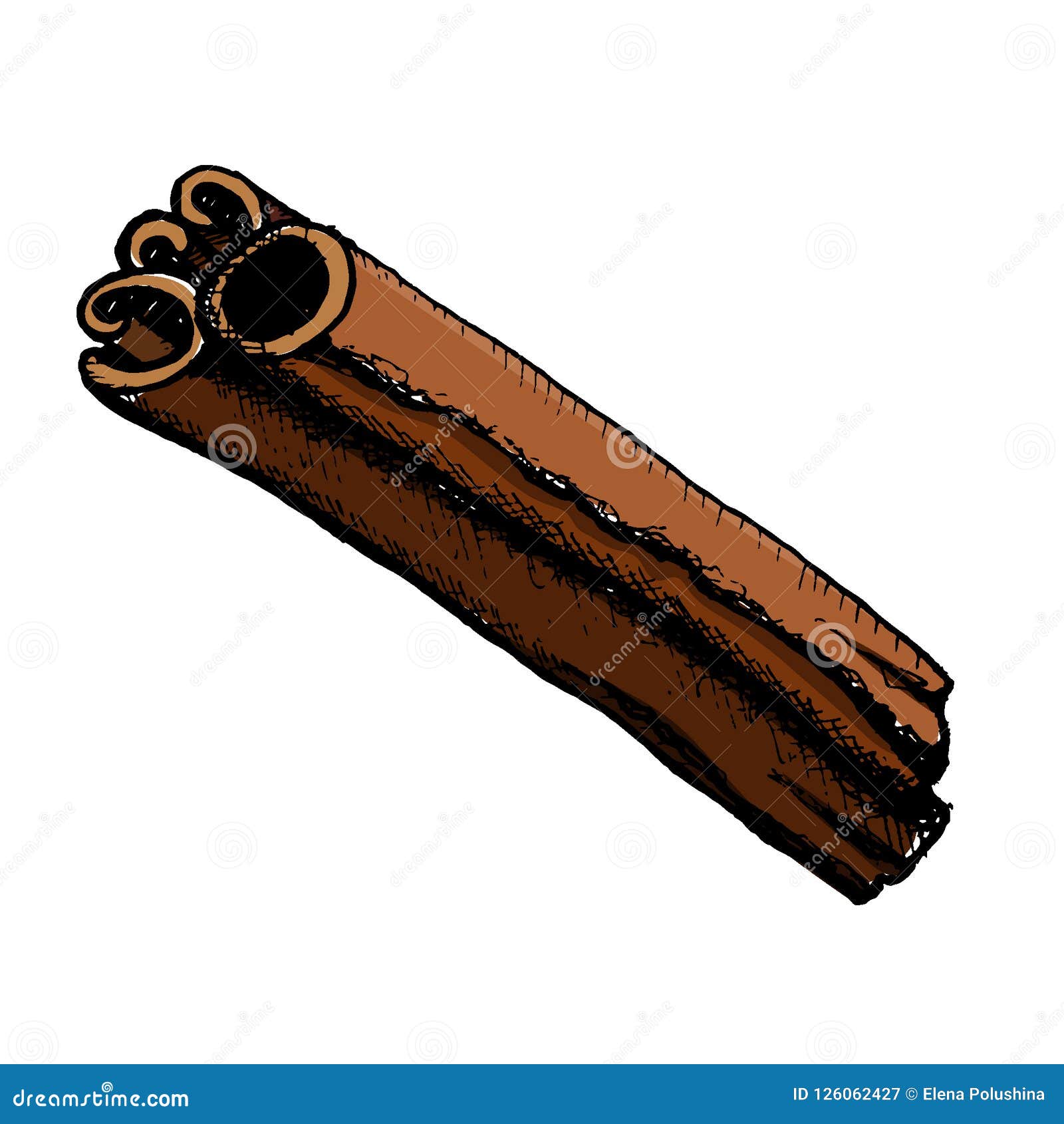 Ink Hand Drawn Cinnamon Set Stock Vector - Illustration of icon ...