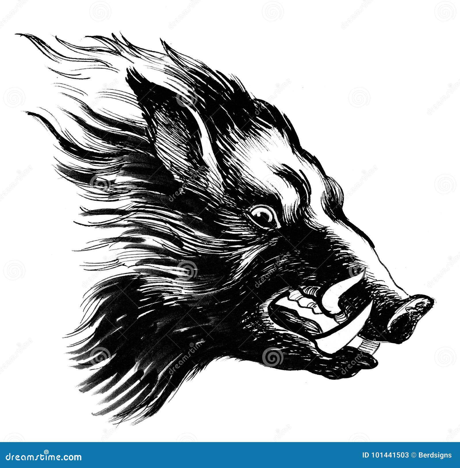 Mad Boar Stock Illustration | CartoonDealer.com #101441503