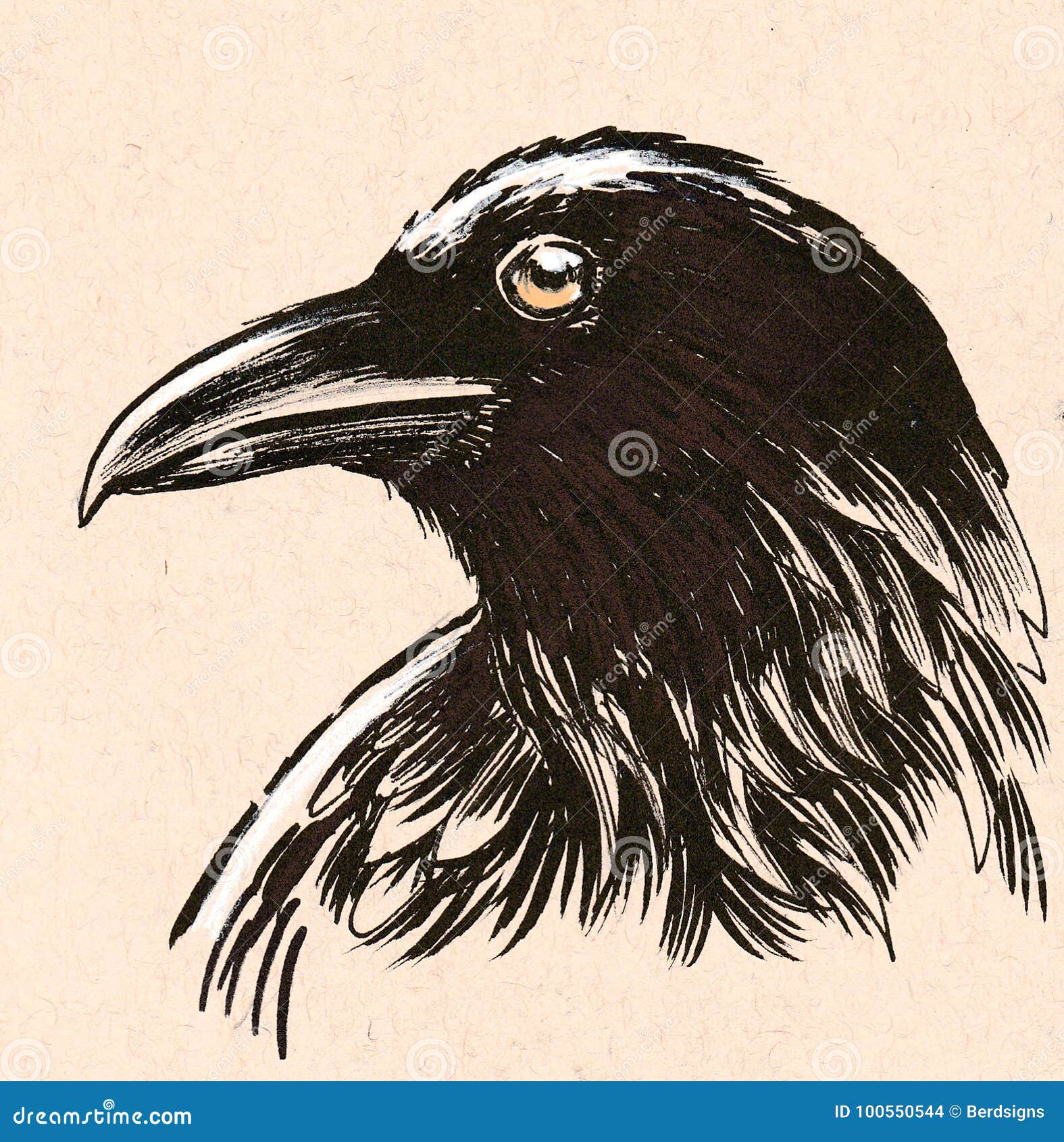 Black raven stock illustration. Illustration of black - 100550544