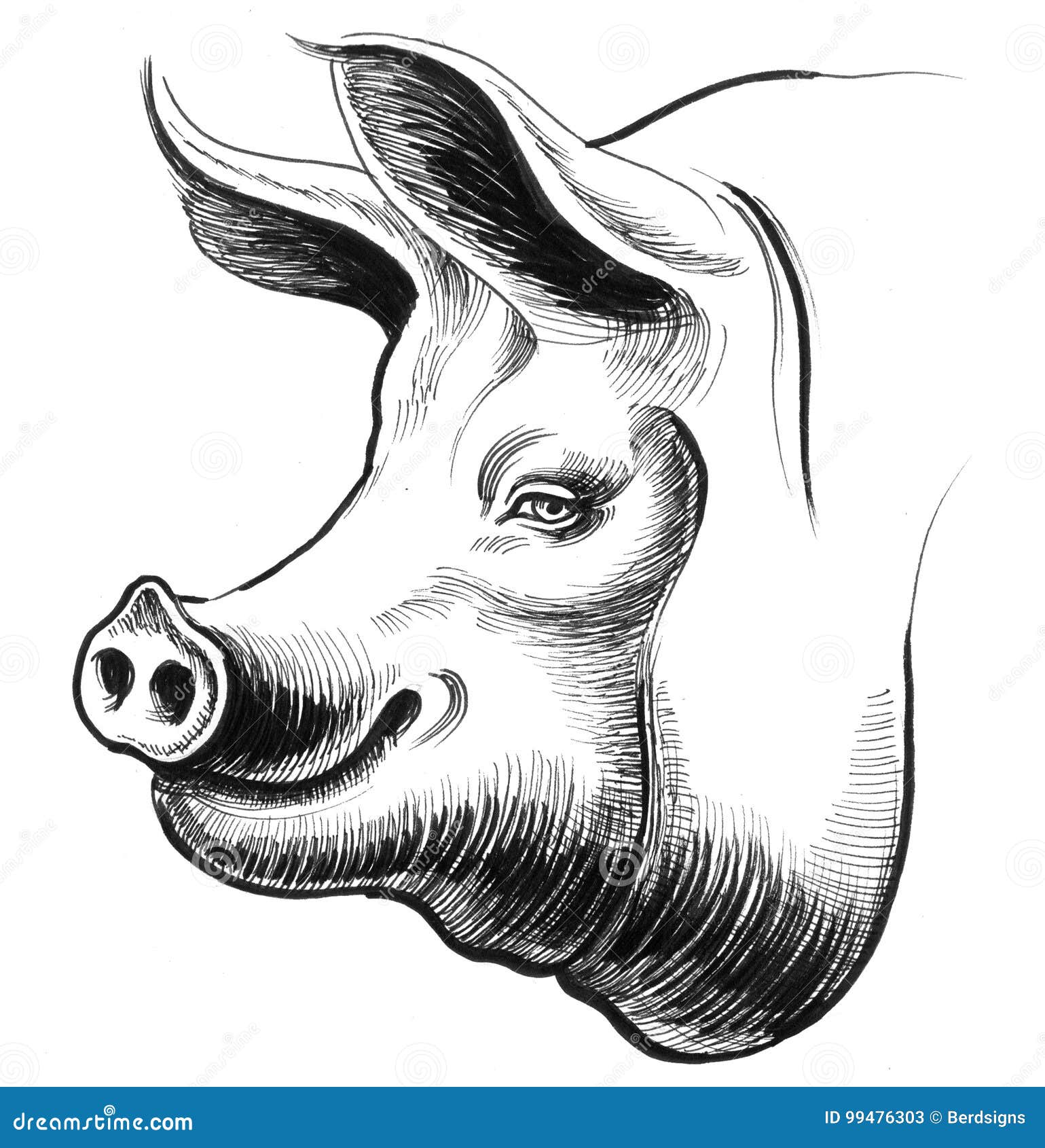 Smiling pig stock illustration. Illustration of drawing - 99476303