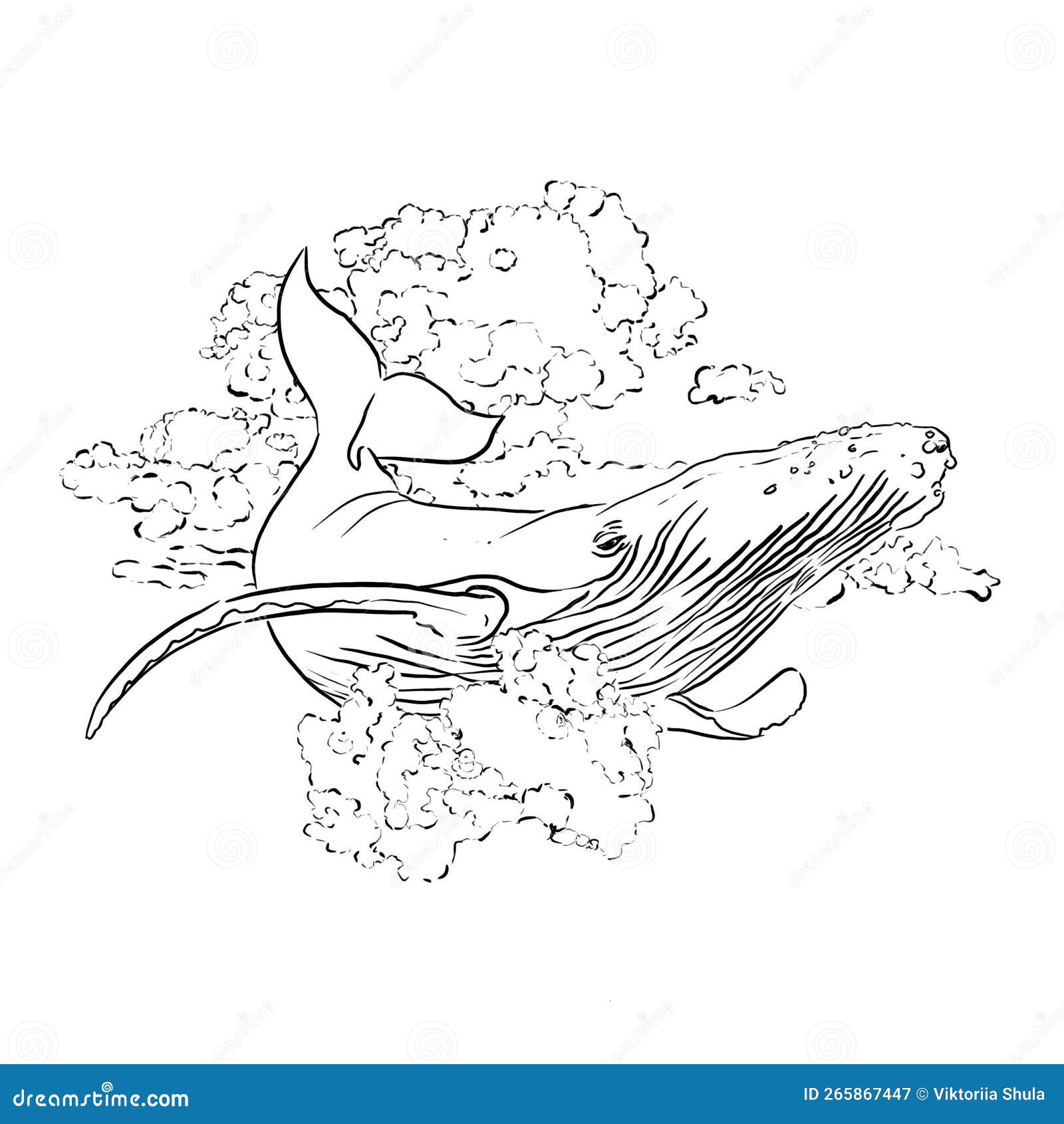 Original Ink Illustration Whale in Clouds Stock Illustration ...