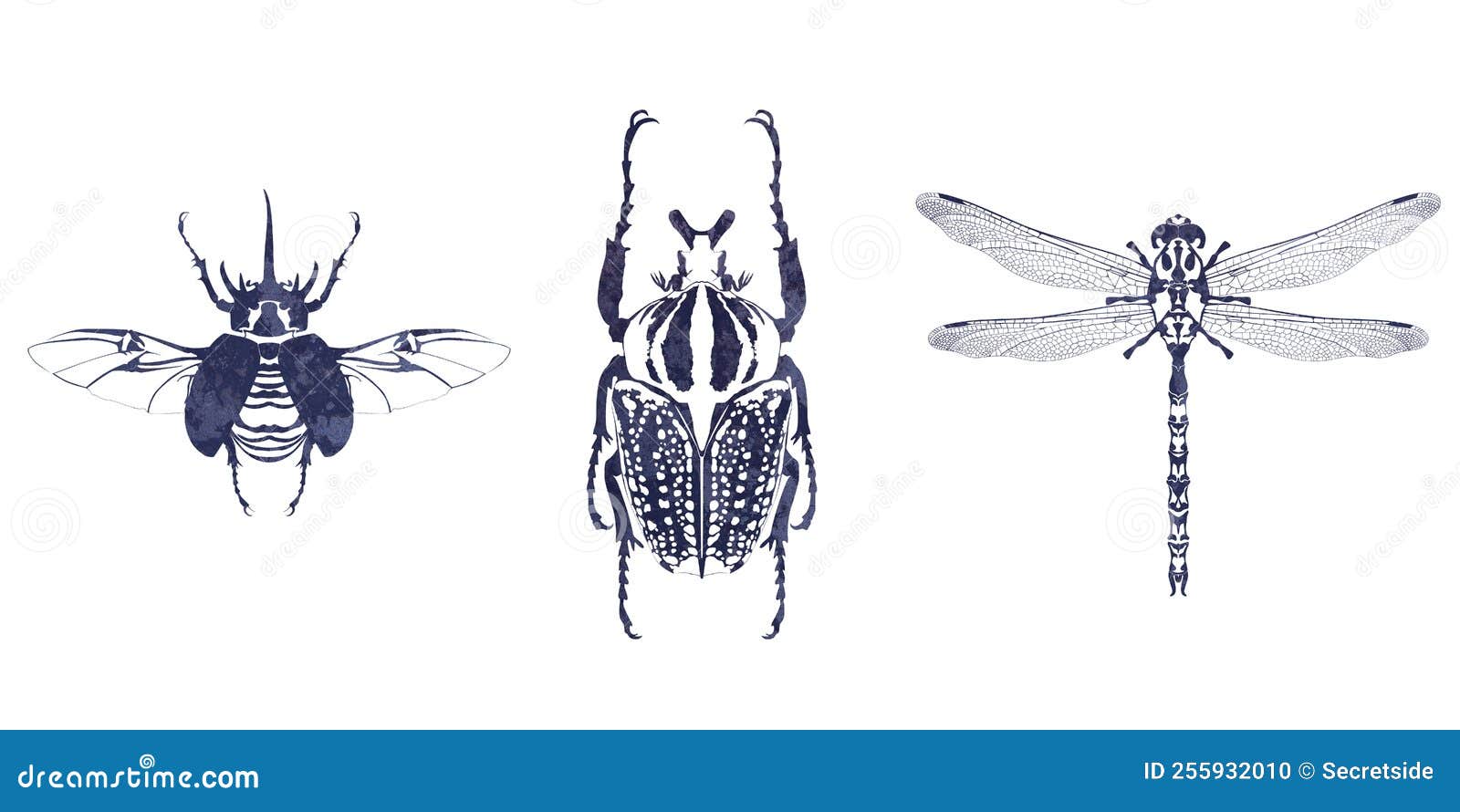 Insect Drawing Engraving Ink Line Art, Animals, Insects Royalty-Free ...