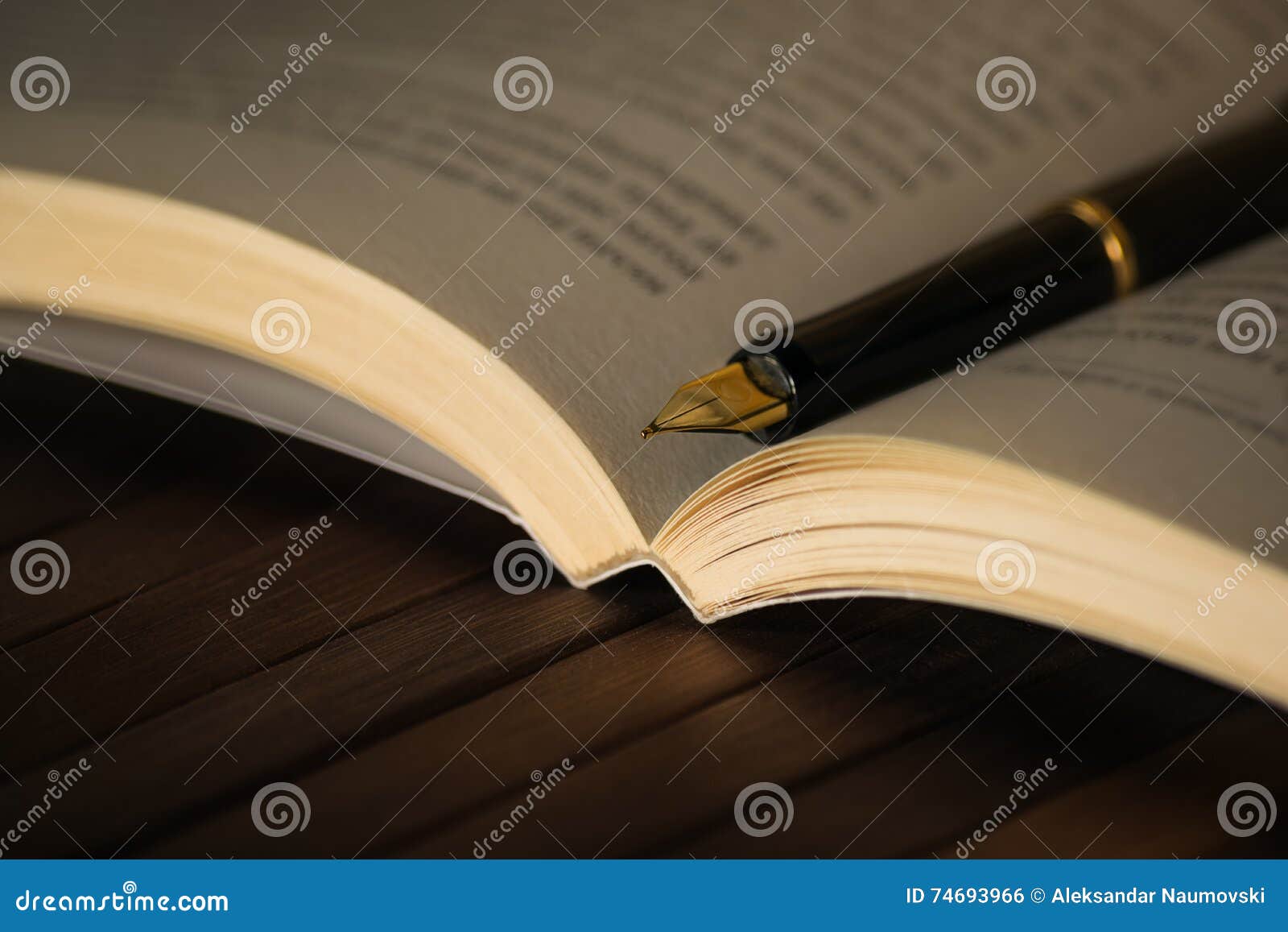 Ink pen on book stock photo. Image of culture, literature - 74693966
