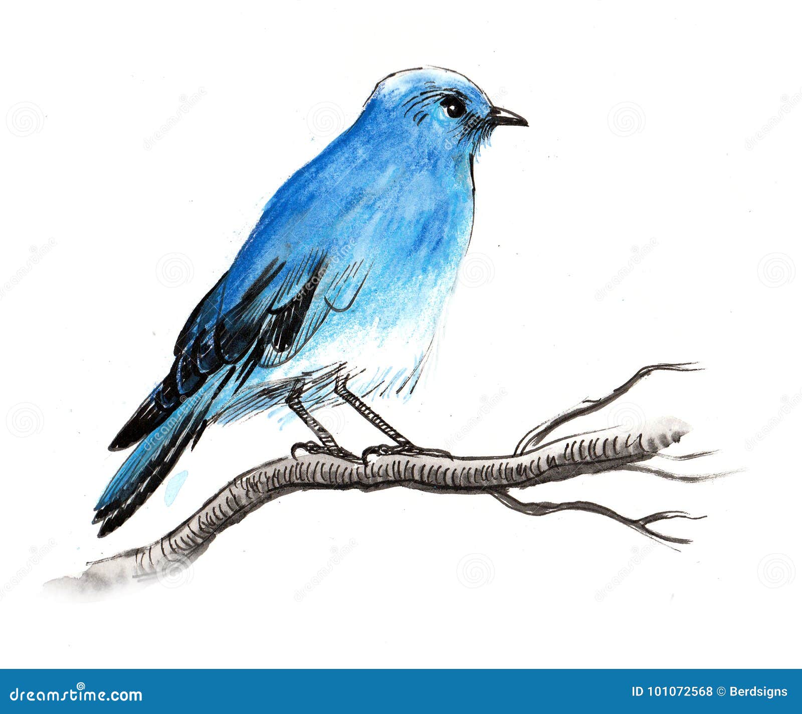 Blue Birds Drawing