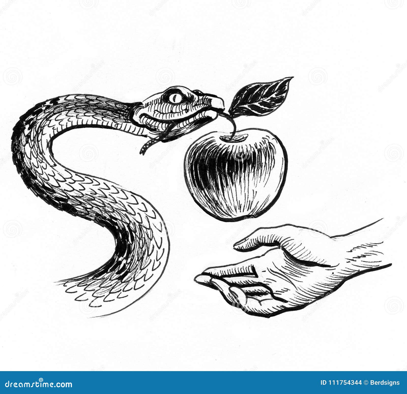 Snake Apple Hand Stock Illustrations – 398 Snake Apple Hand Stock ...