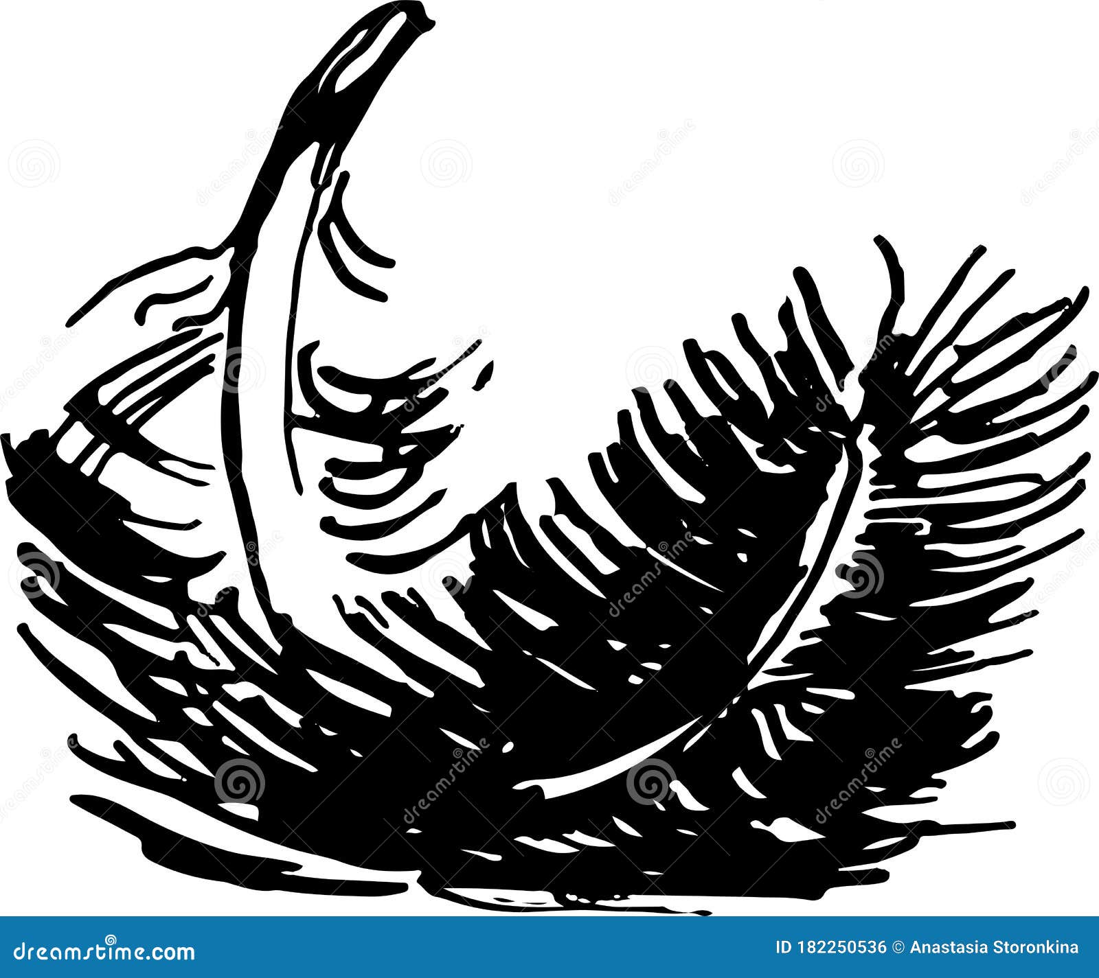 Ink Sketch of Black Swan Feathers Vector Isolated Hand Drawn Stock ...