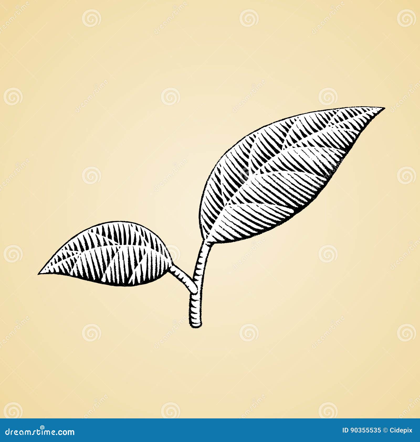 Ink Sketch of Leaves with White Fill Stock Vector - Illustration of ...