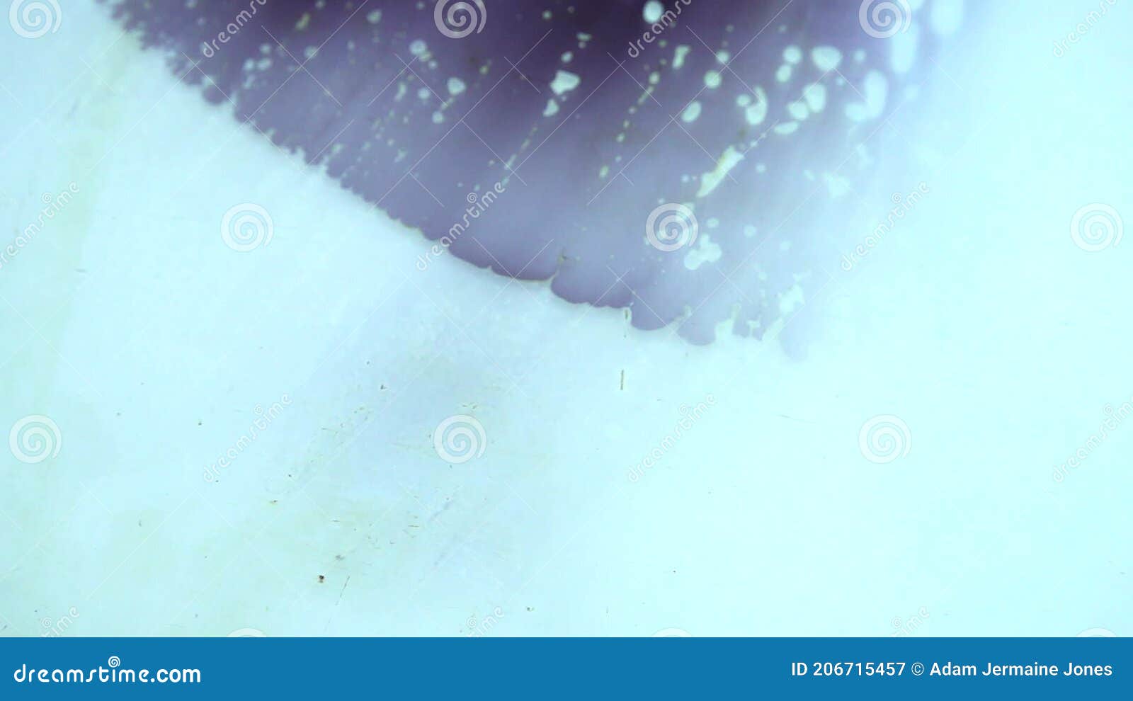 Effect Created by Ink Squashed in Glass Stock Video - Video of effect ...