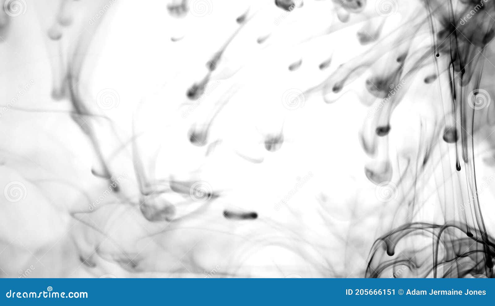 Ink in Water Effect Cretaed by Adding Ink into Water Stock Video ...