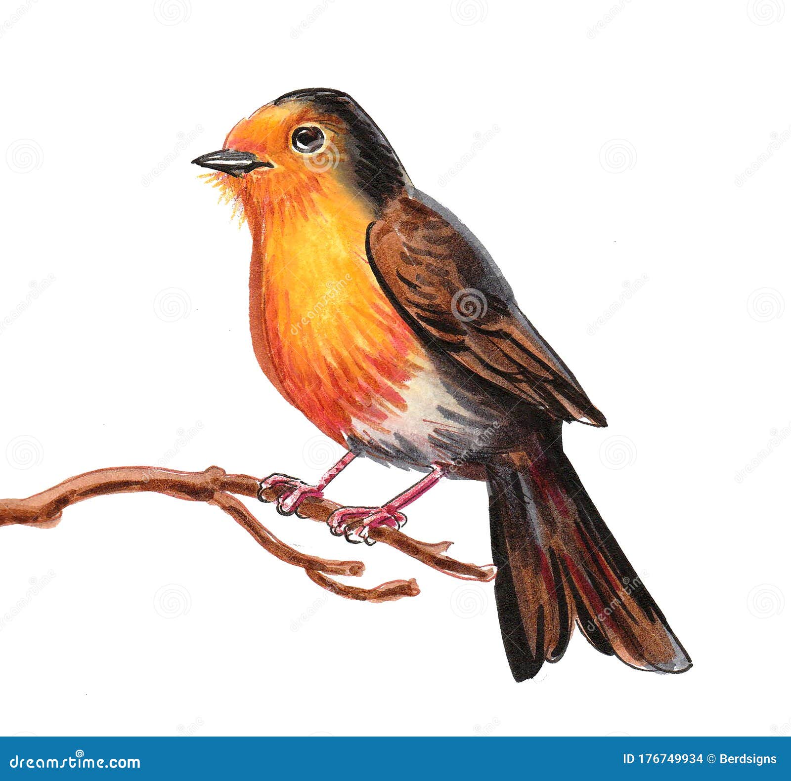 Bird on tree stock illustration. Illustration of watercolor - 176749934