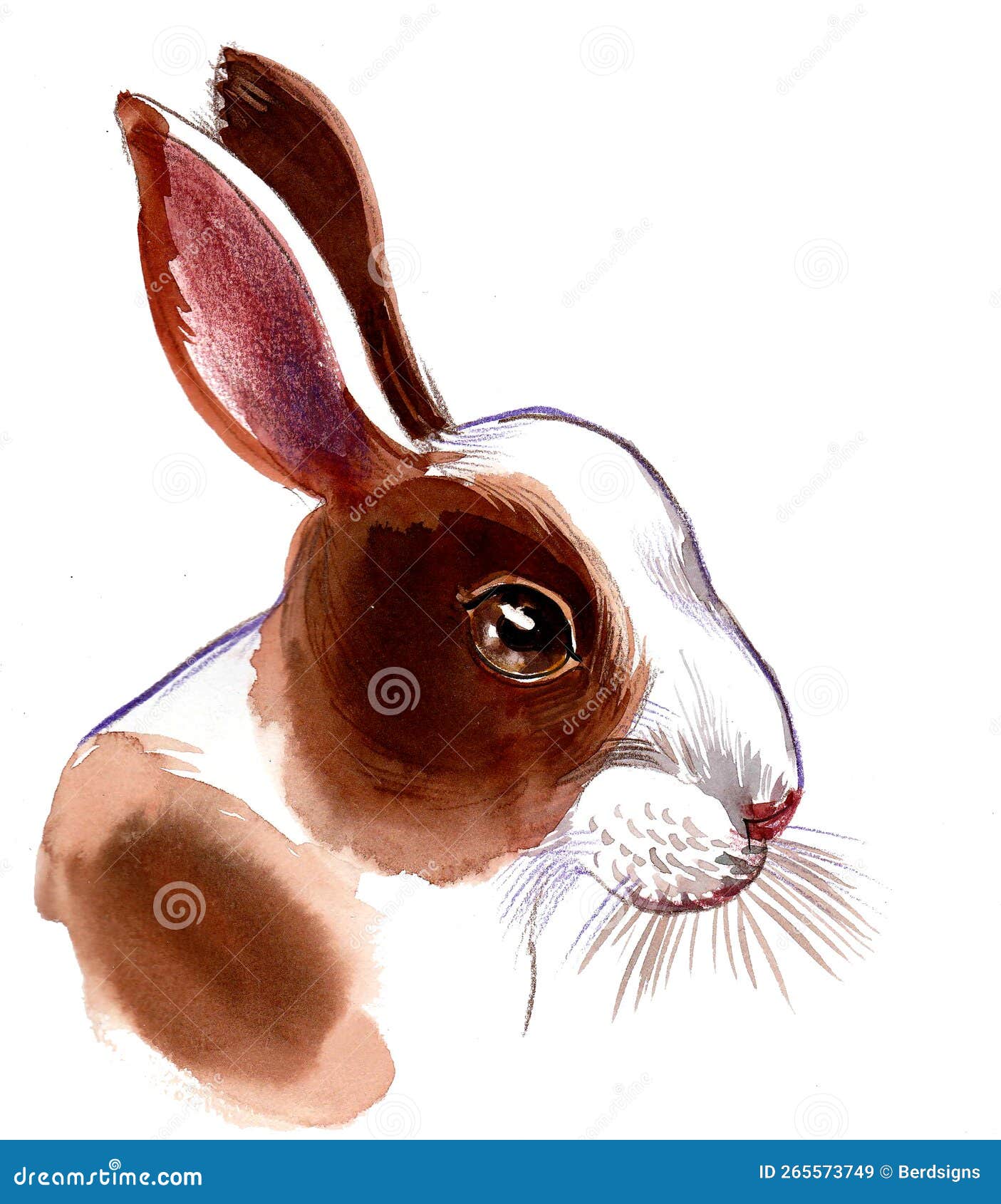 Cute bunny stock illustration. Illustration of drawing - 265573749