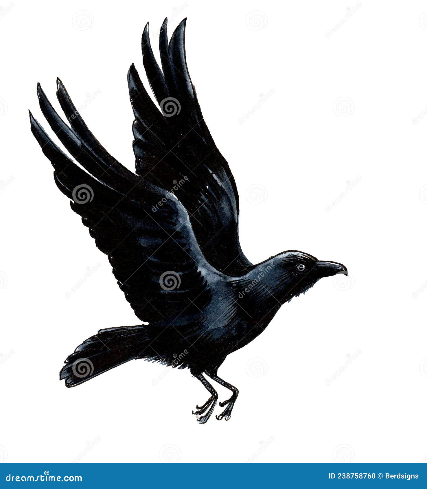 Flying Crow Ravens Black Outline Drawing Vector Illustration ...