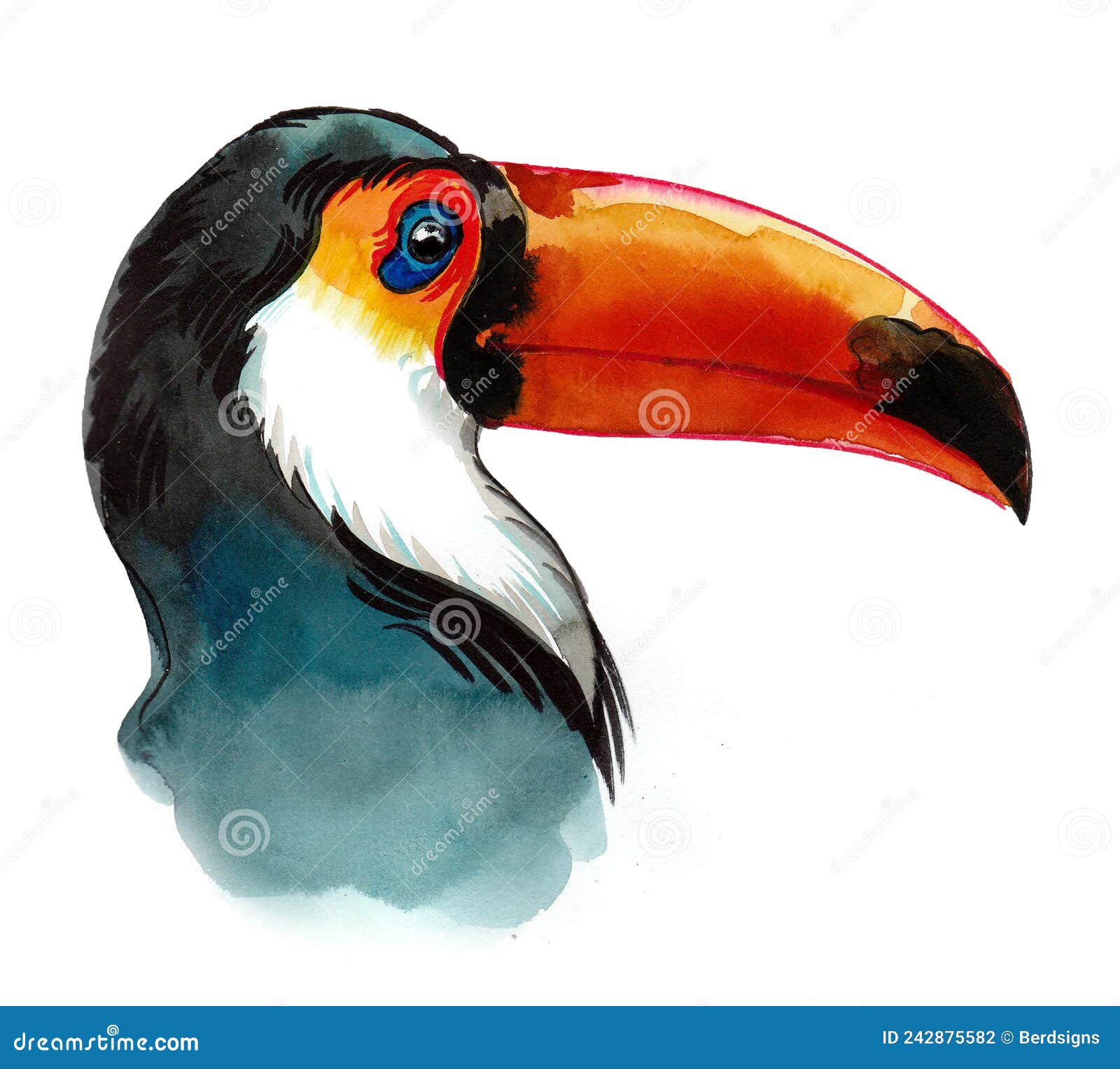 Tupac bird stock illustration. Illustration of animal - 242875582