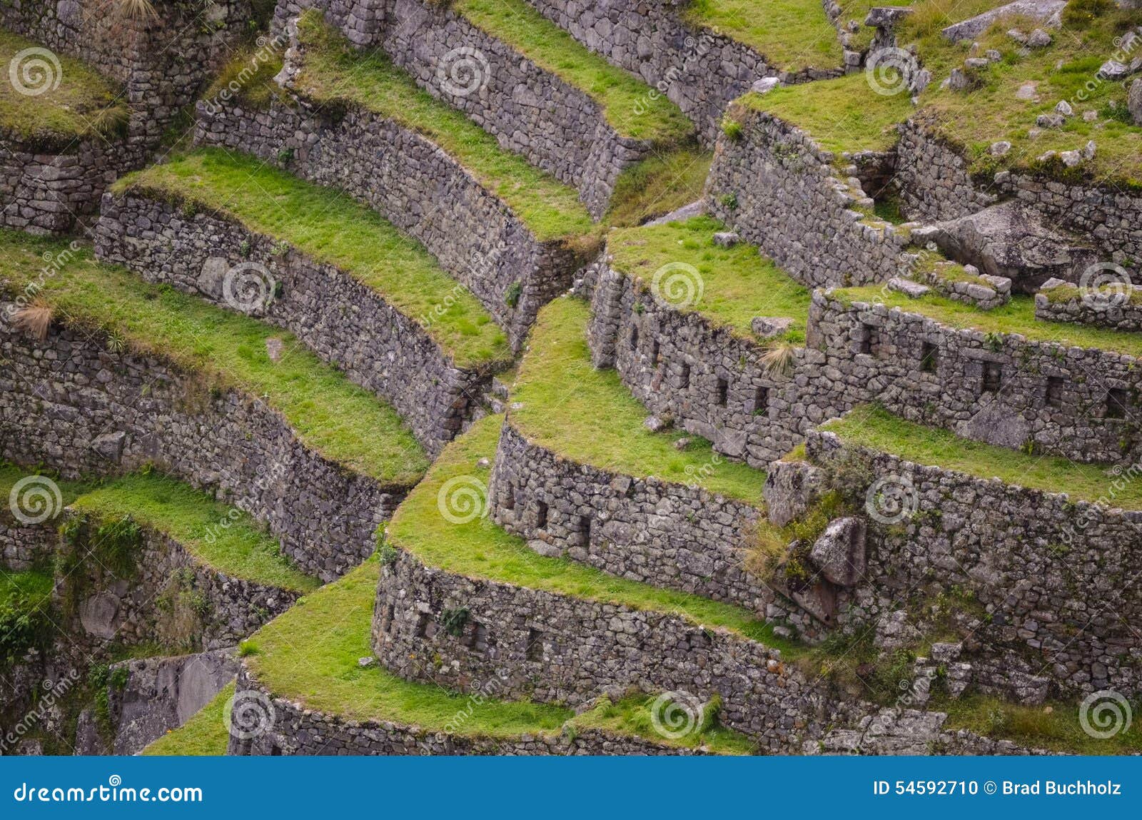 Inka terraces stock photo. Image of machu, picchu, inka - 54592710