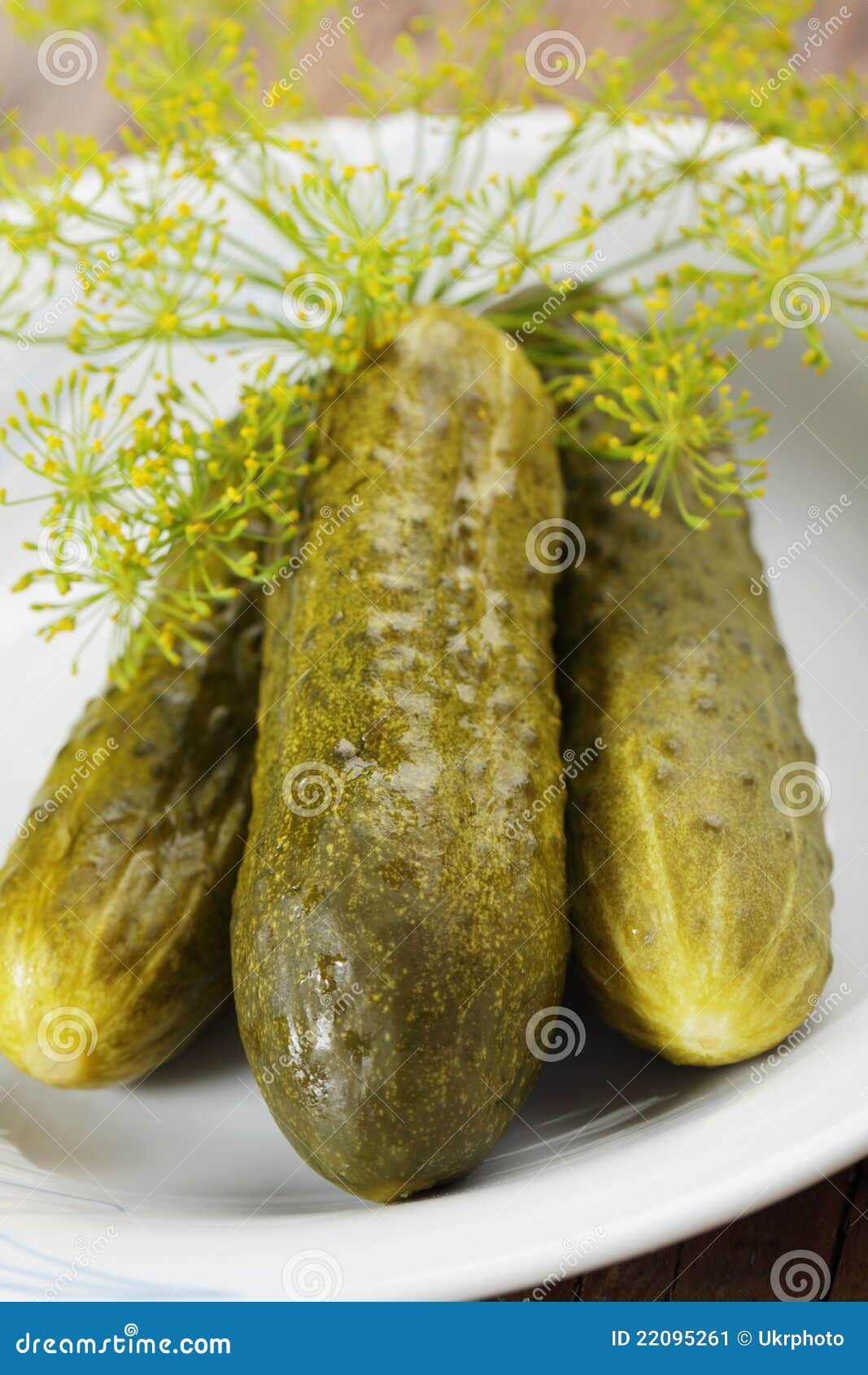 Inlagda gurkor fotografering för bildbyråer. Bild av gurkor - 22095261