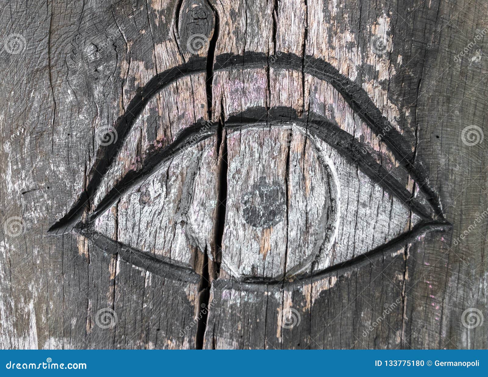 Inlaid Eye on the Bark of a Tree Stock Photo - Image of environmental ...
