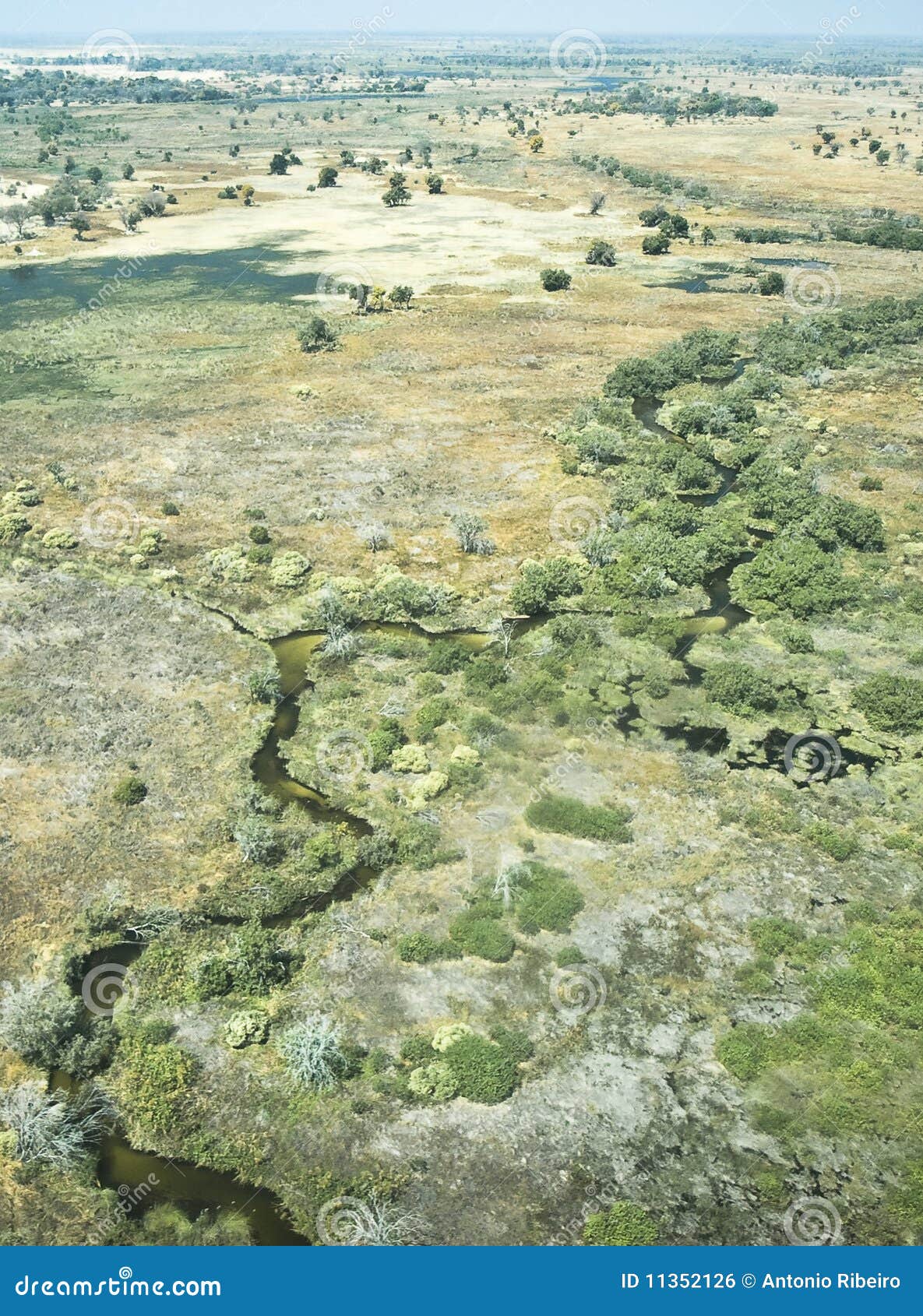 Inland delta stock photo. Image of wilderness, tree, delta - 11352126