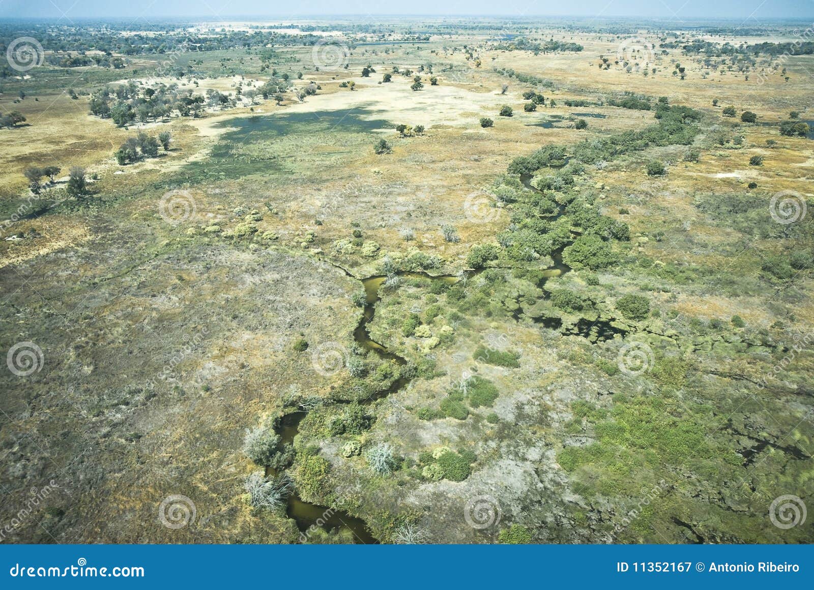 Inland delta stock image. Image of plains, beauty, river - 11352167