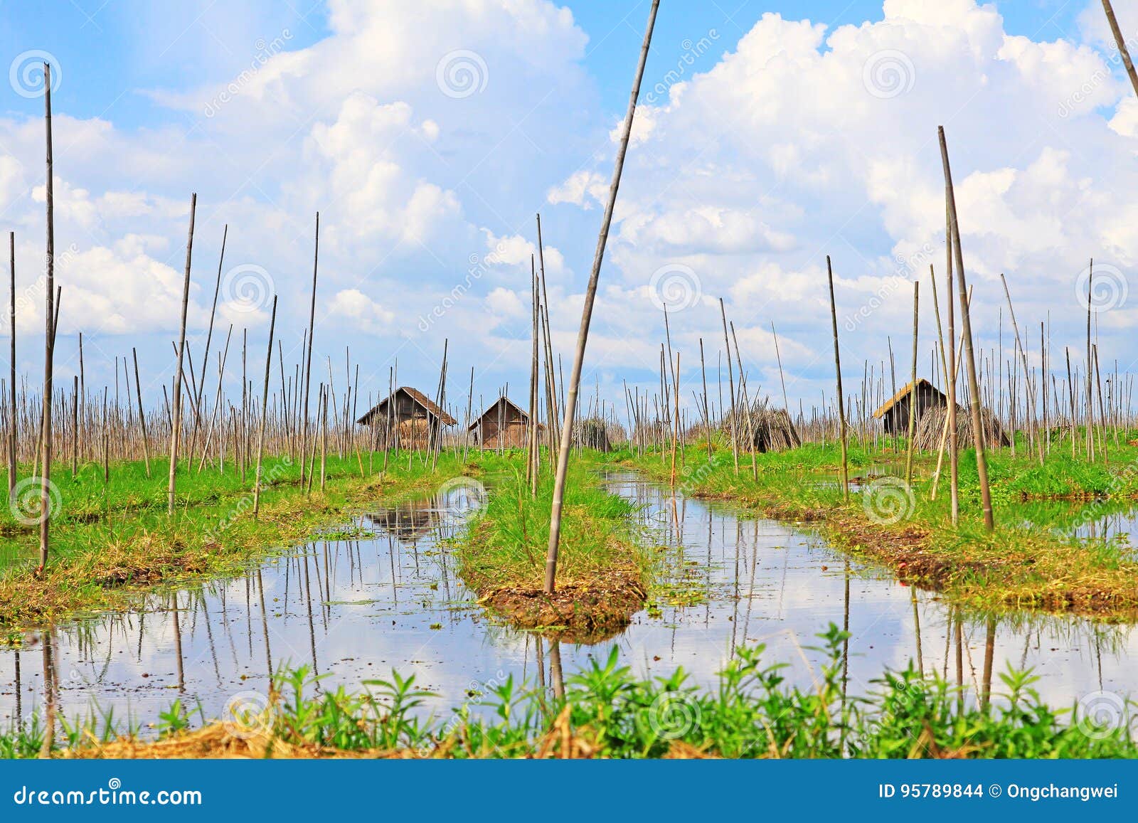 Inle Lake Floating Farm, Myanmar Stock Photo - Image of grass, myanmar ...