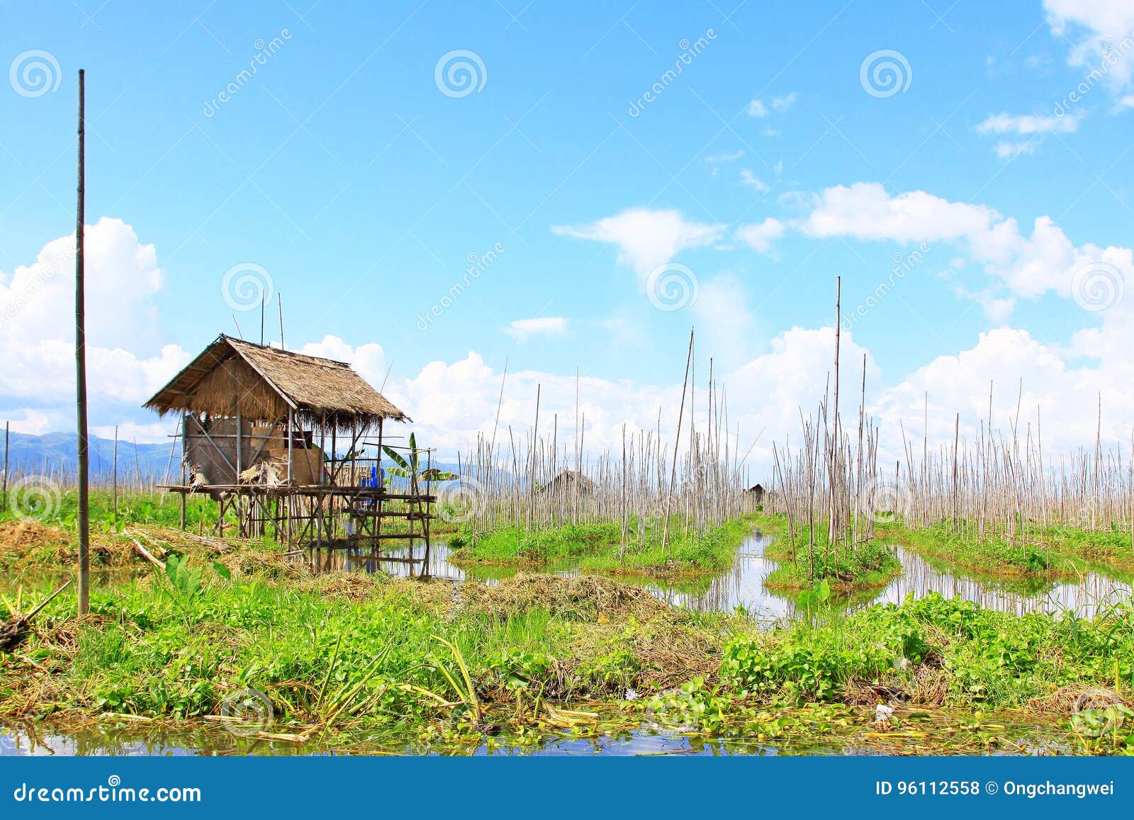 Inle Lake Floating Farm, Myanmar Stock Photo - Image of meadow ...