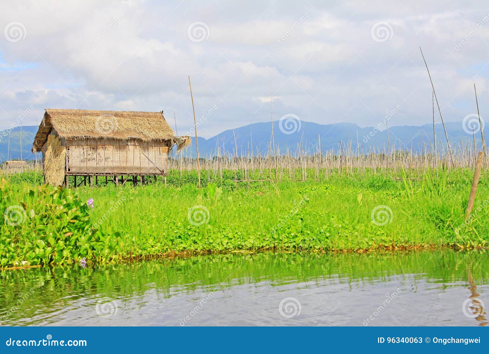 Inle Lake Floating Farm, Myanmar Stock Image - Image of nature ...