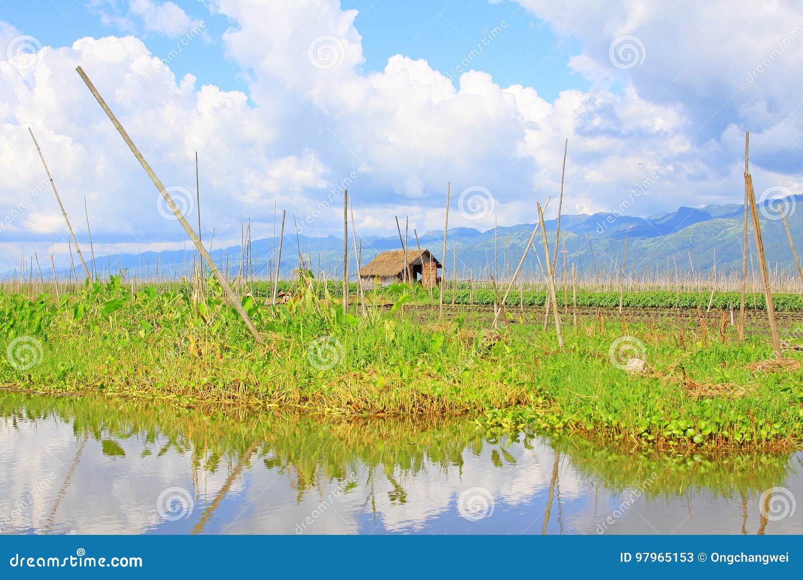 Inle Lake Floating Farm, Myanmar Stock Image - Image of green, inle ...
