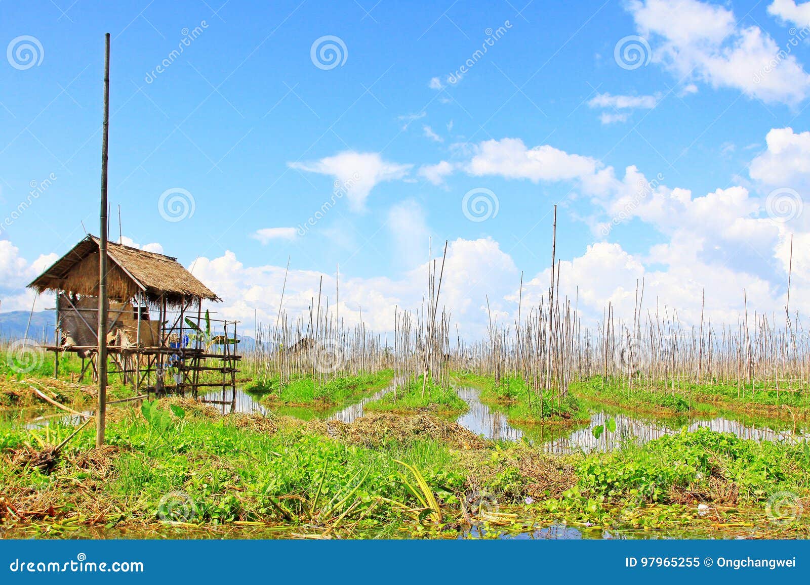 Inle Lake Floating Farm, Myanmar Stock Image - Image of asian, lake ...
