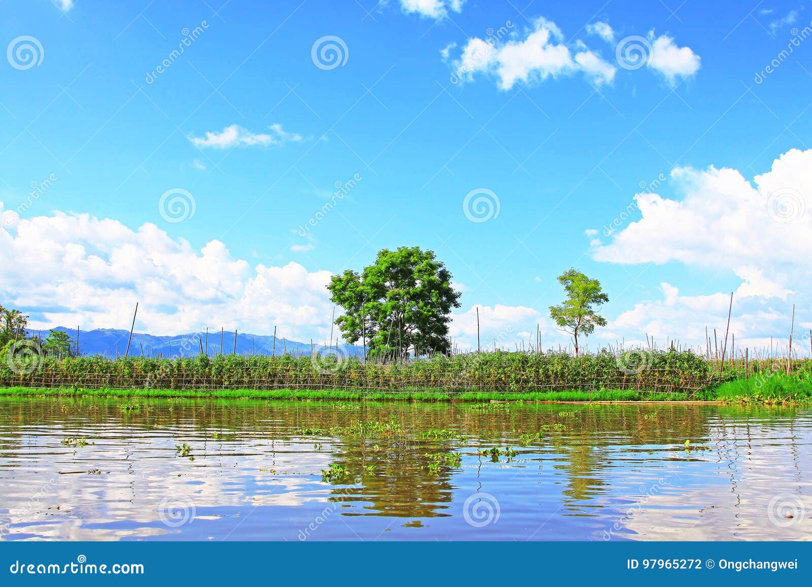 Inle Lake Floating Farm, Myanmar Stock Photo - Image of floating, grass ...