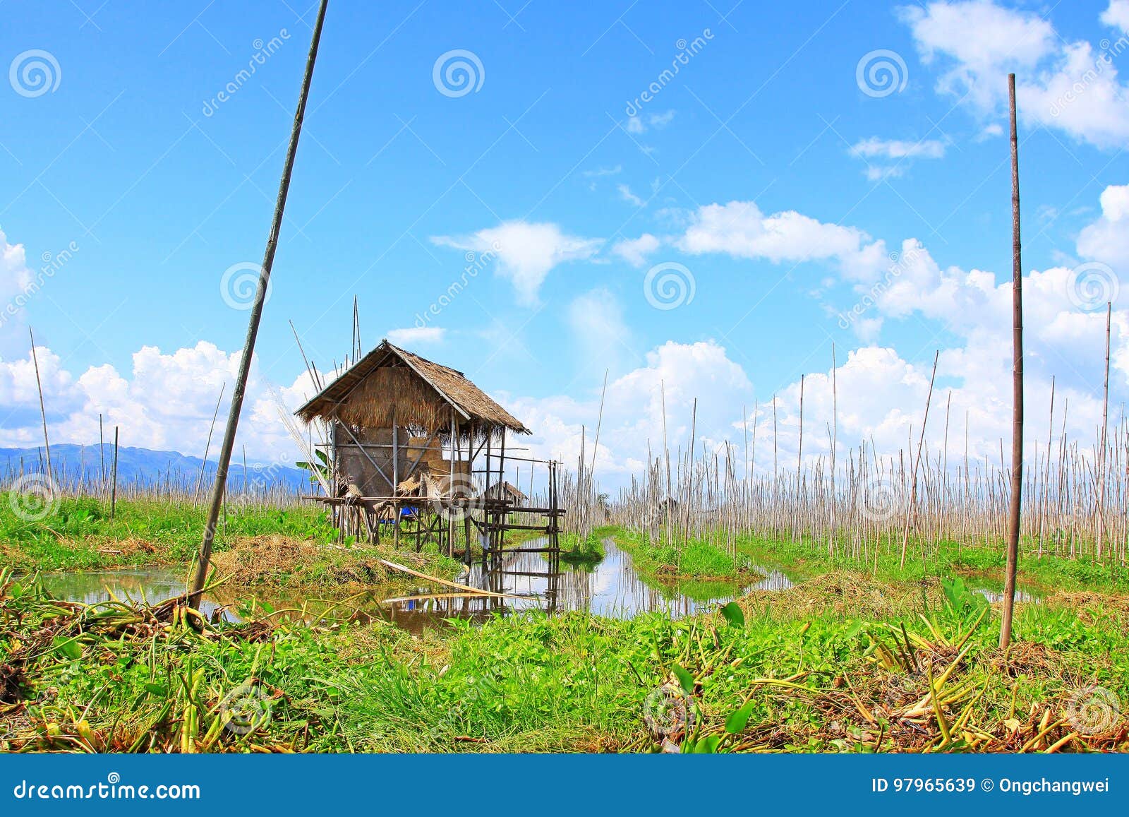 Inle Lake Floating Farm, Myanmar Stock Image - Image of floating ...