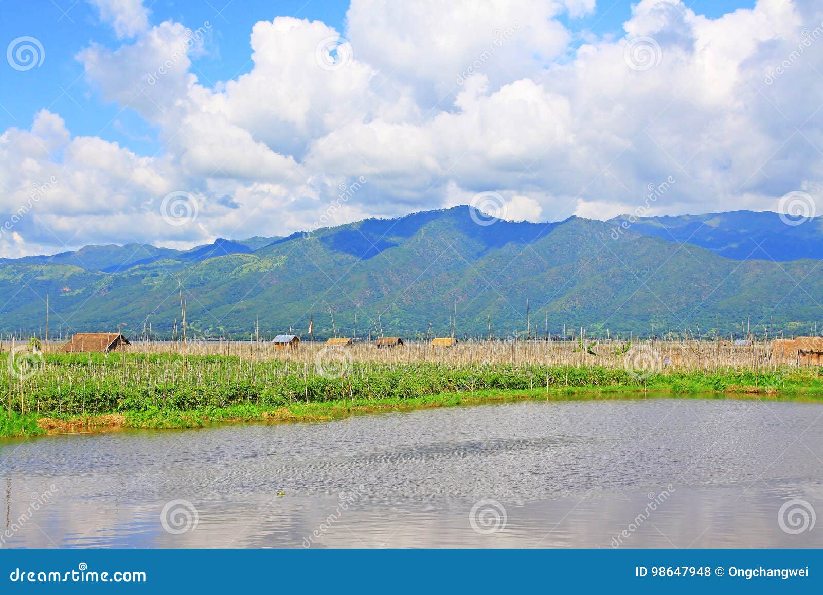 Inle Lake Floating Farm, Myanmar Stock Photo - Image of nature, field ...