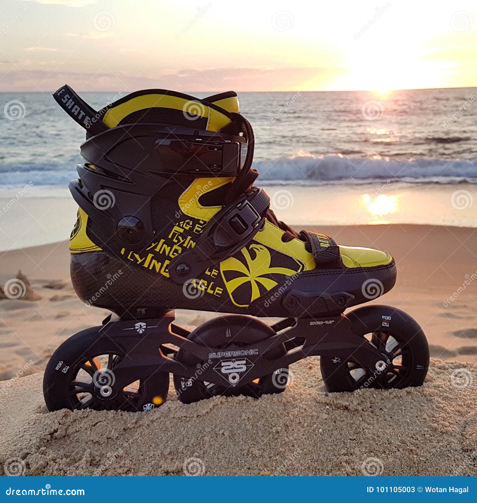 Inlineskates editorial stock photo. Image of inlineskating - 101105003