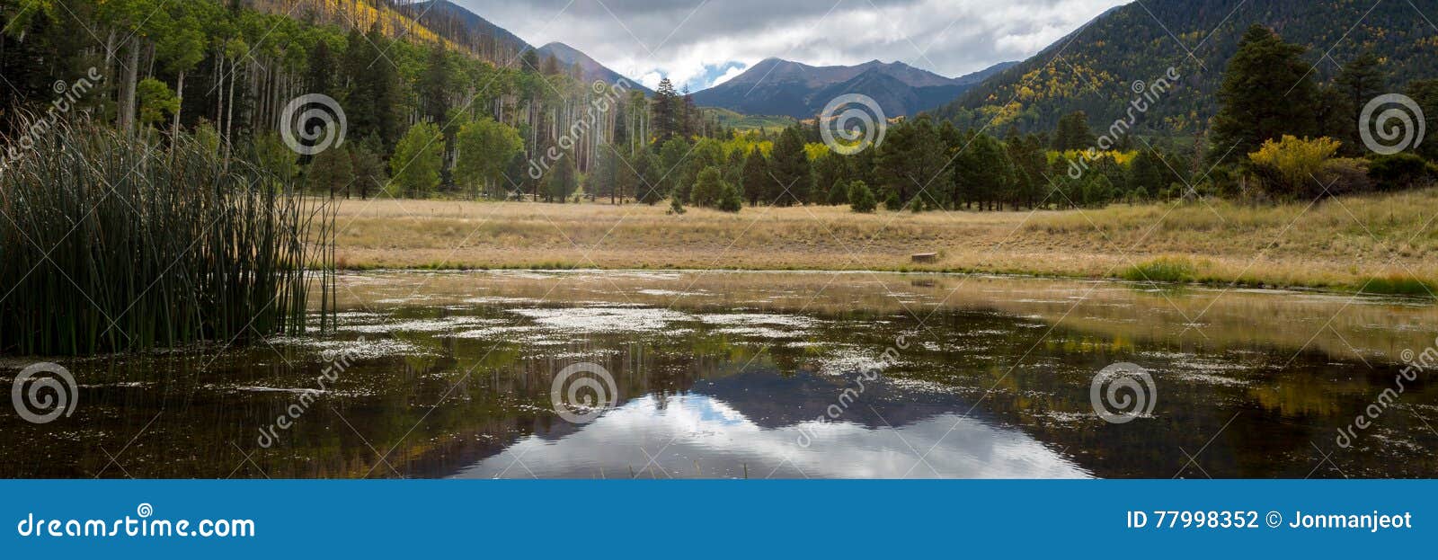 The Inner Basin Trail in Northern Arizona. Stock Photo - Image of ...
