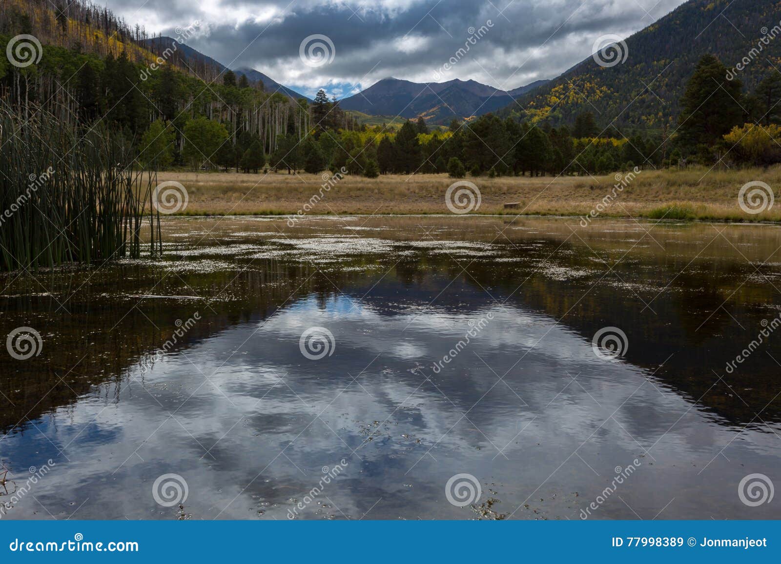 The Inner Basin Trail in Northern Arizona. Stock Image - Image of path ...