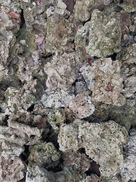 Inner Cave Texture, Cavern Background, Aquarium Decoration Stock Photo ...