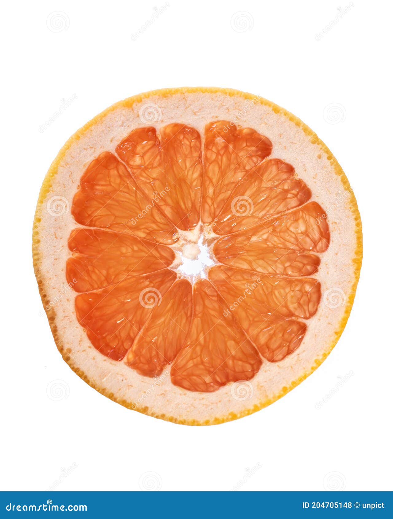 Inner Details of Grapefruit Slice Isolated on White Background Stock ...