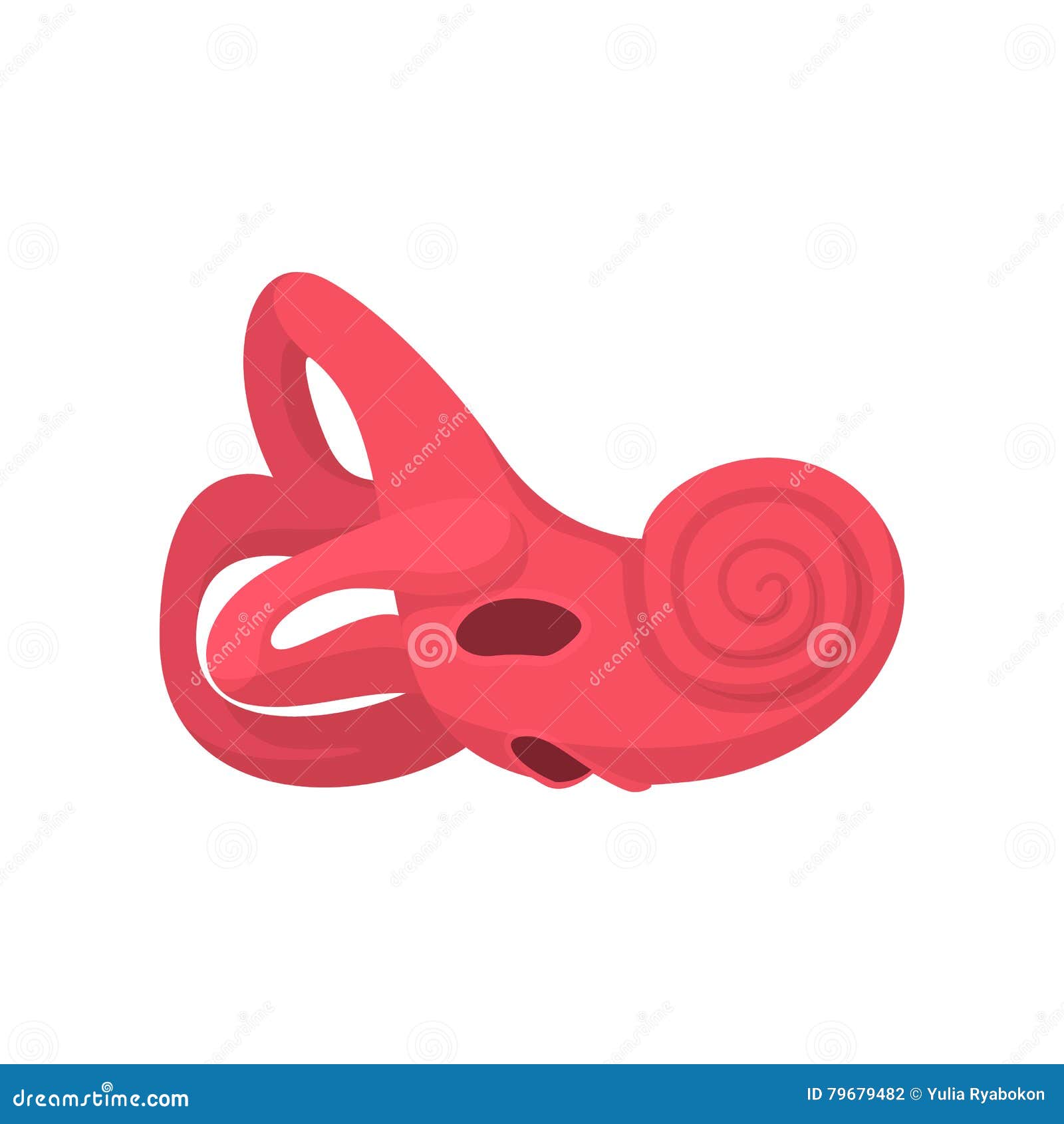 Mix Icon For Vestibular System, Sensory And Nerve Vector Illustration ...