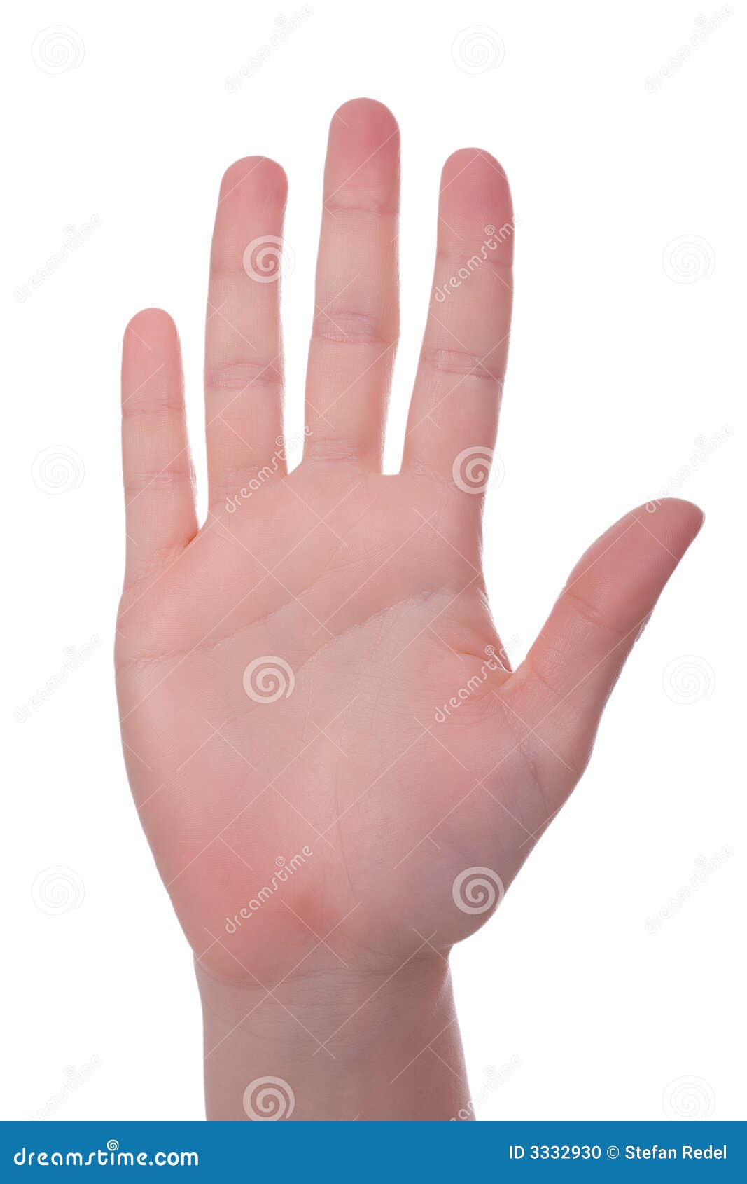 Inner hand stock photo. Image of gesture, deafness, diagonal - 3332930