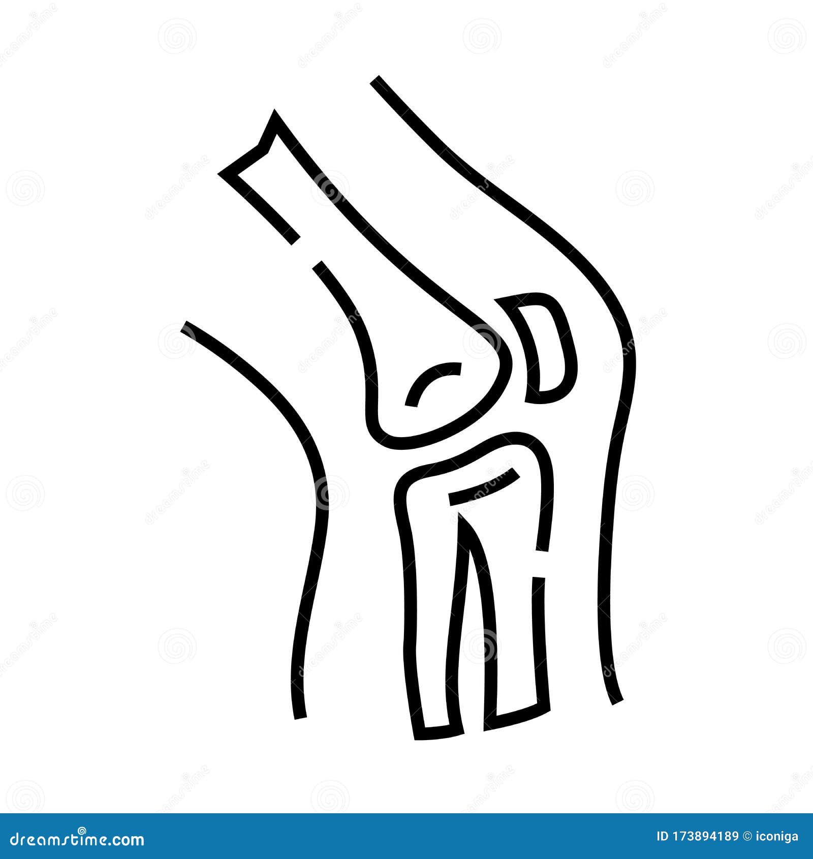 Inner Knee Bones Structure Line Icon, Concept Sign, Outline Vector ...