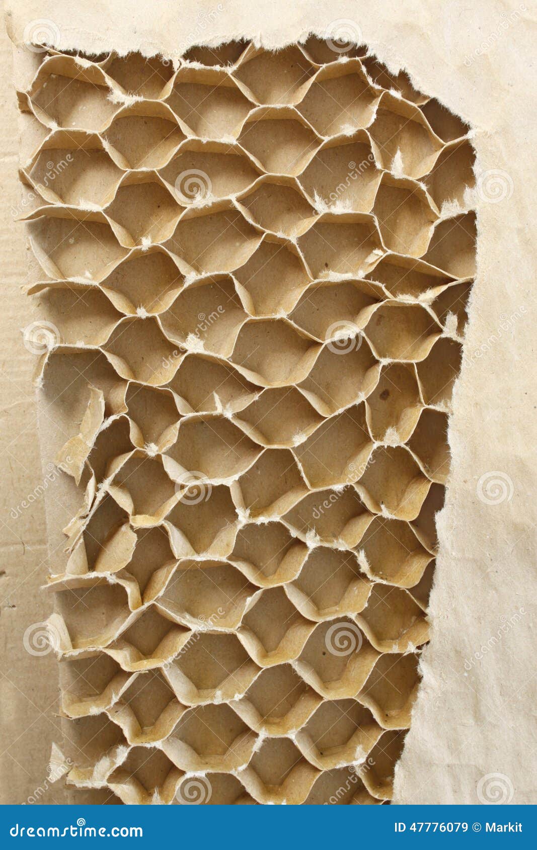 Inner part of cardboard stock image. Image of garbage - 47776079